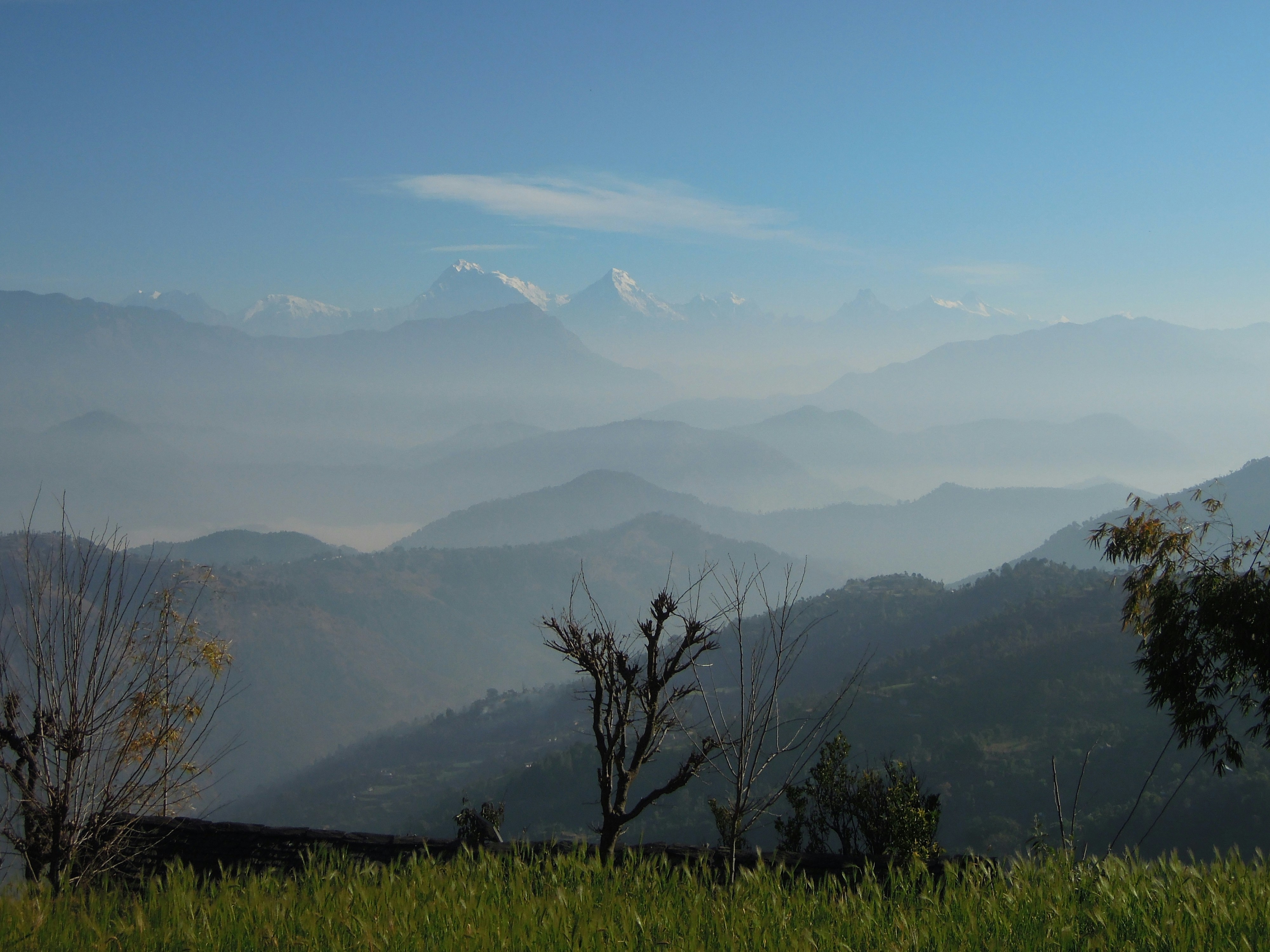Majestic mountain range shrouded in mist, with peaks glistening under the morning sun. Sparse trees frame the foreground, enhancing the serene atmosphere.