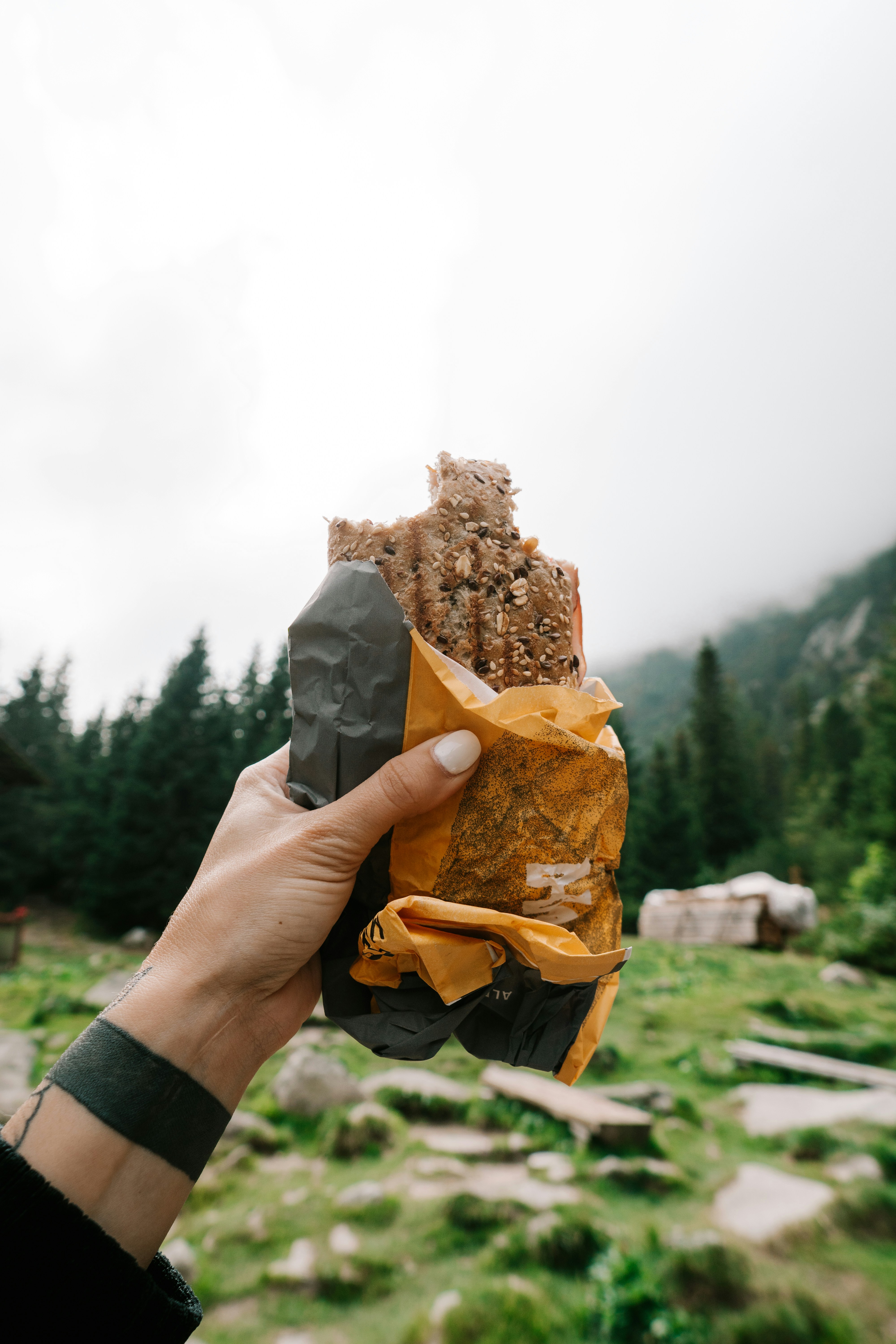 Toast in the Wild: A Handful of Crunch Against a Mountain Meadow