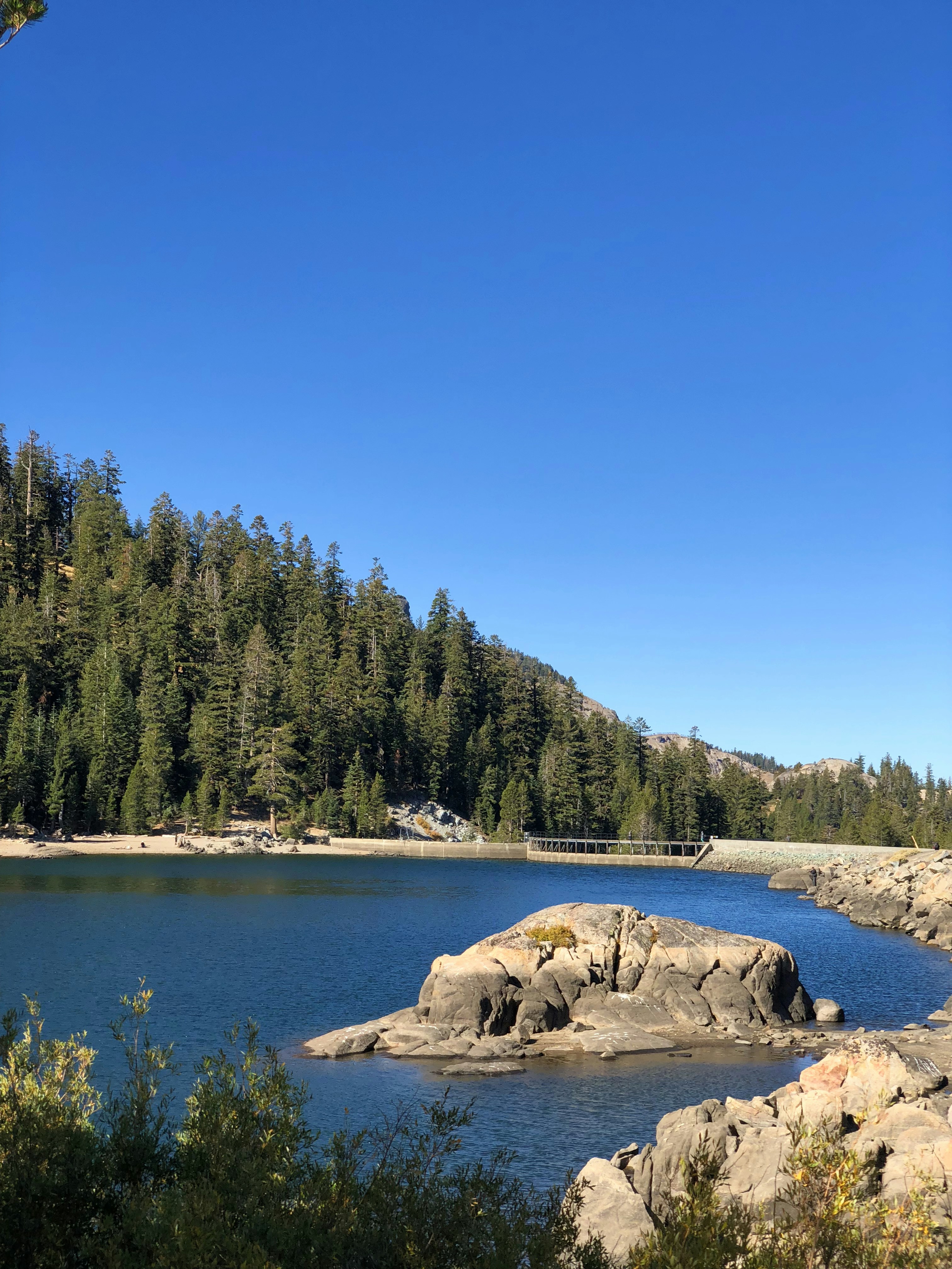 Calm lake reflecting the surrounding pine forest under a clear blue sky, with rocky outcrops dotting the shoreline.