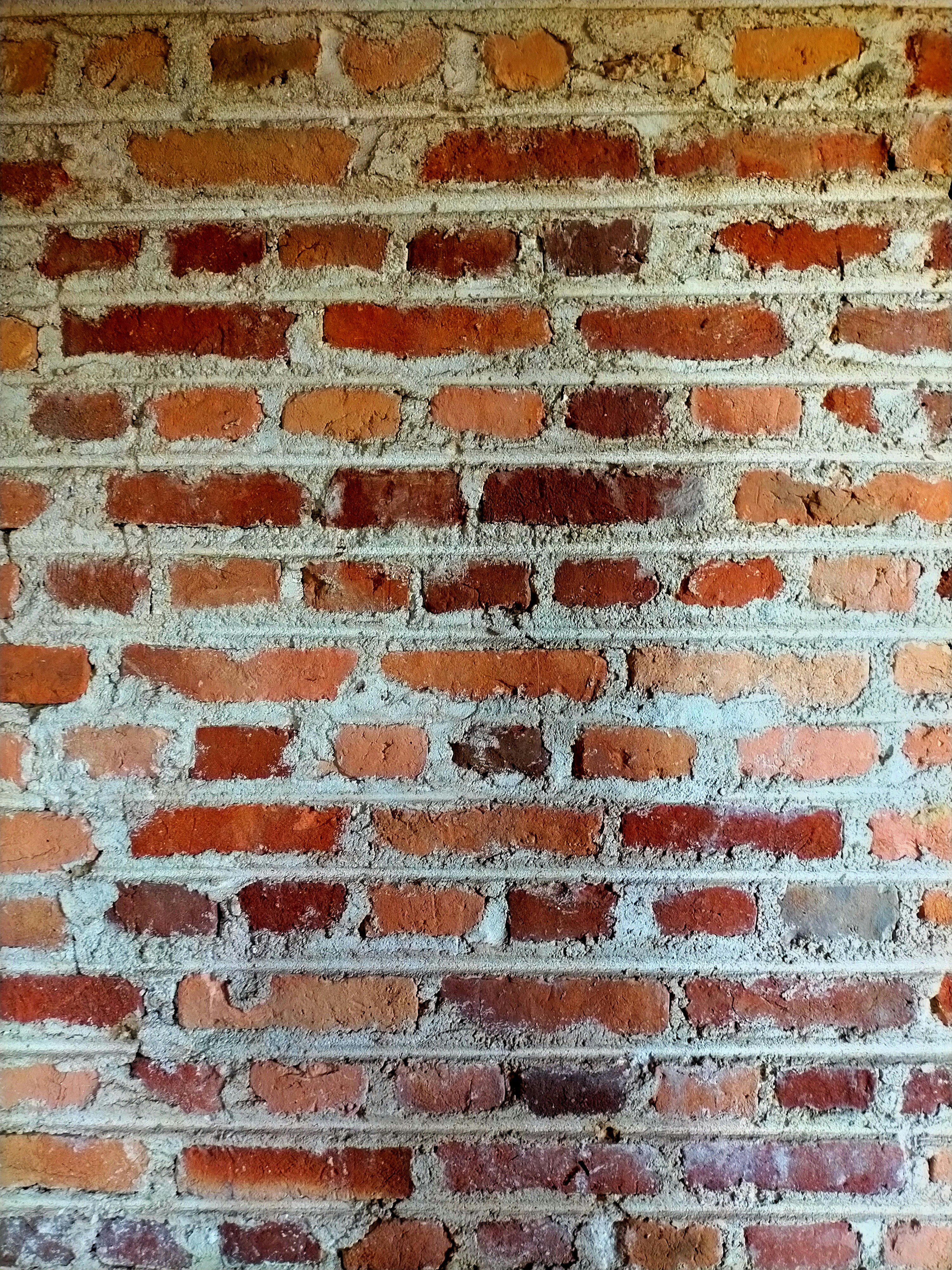 Sample photo from Oppo A9 2020