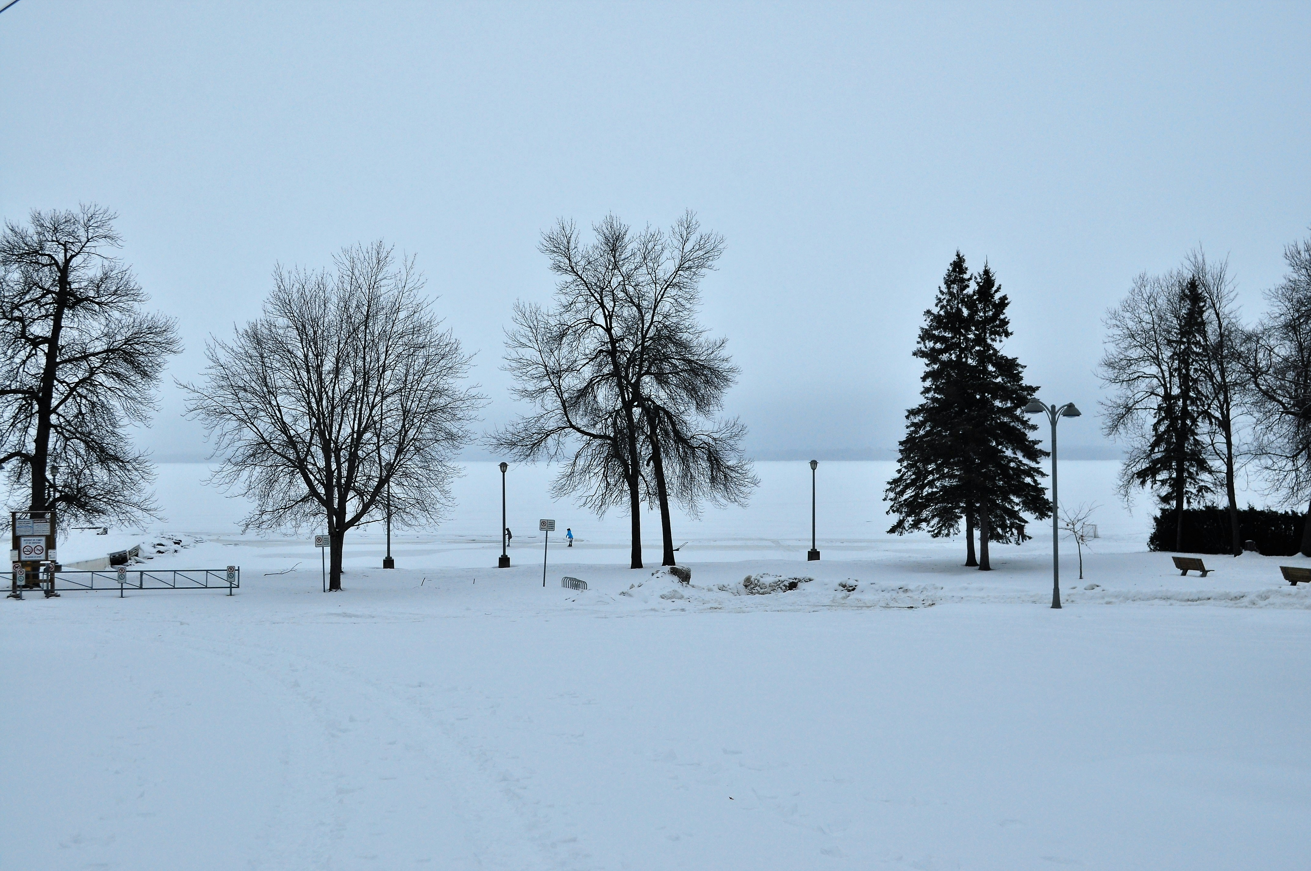 Snow-covered landscape with leafless trees and distant lights under a cloudy sky.