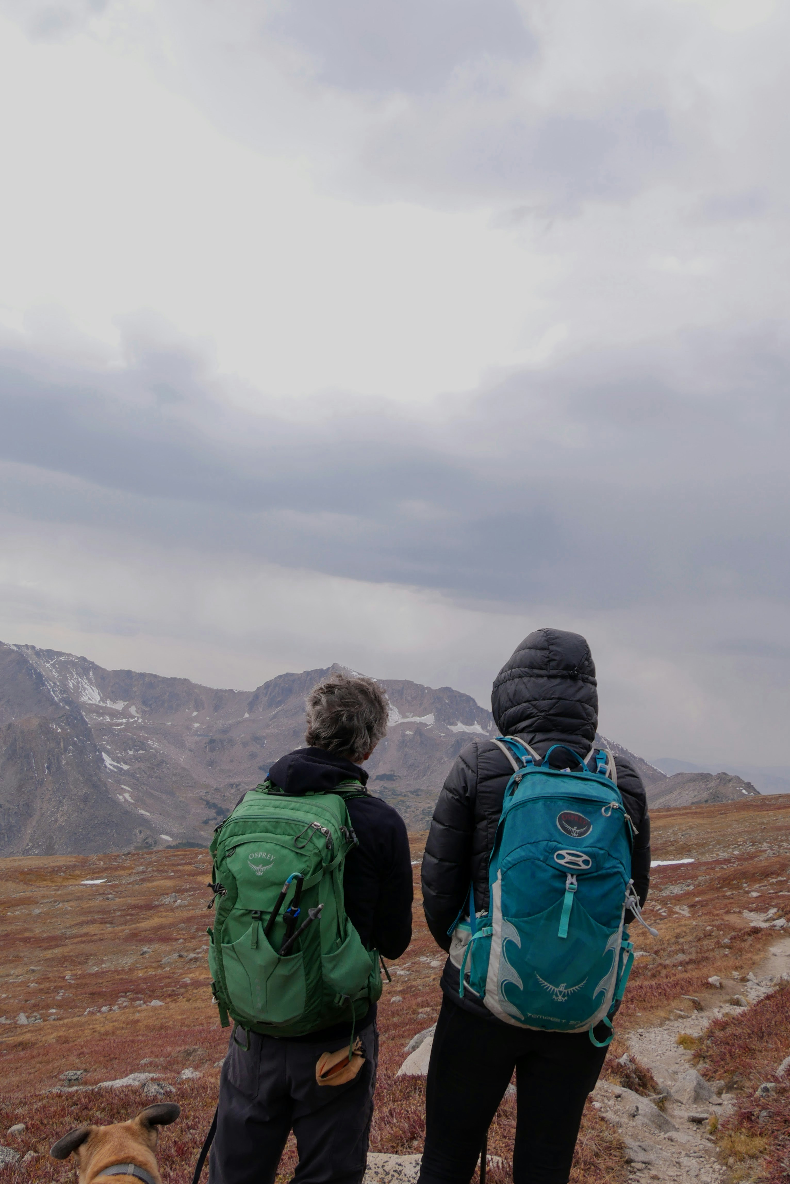 Two hikers with backpacks gazing at a distant mountain range under a cloudy sky. A dog stands nearby, adding to the sense of adventure.