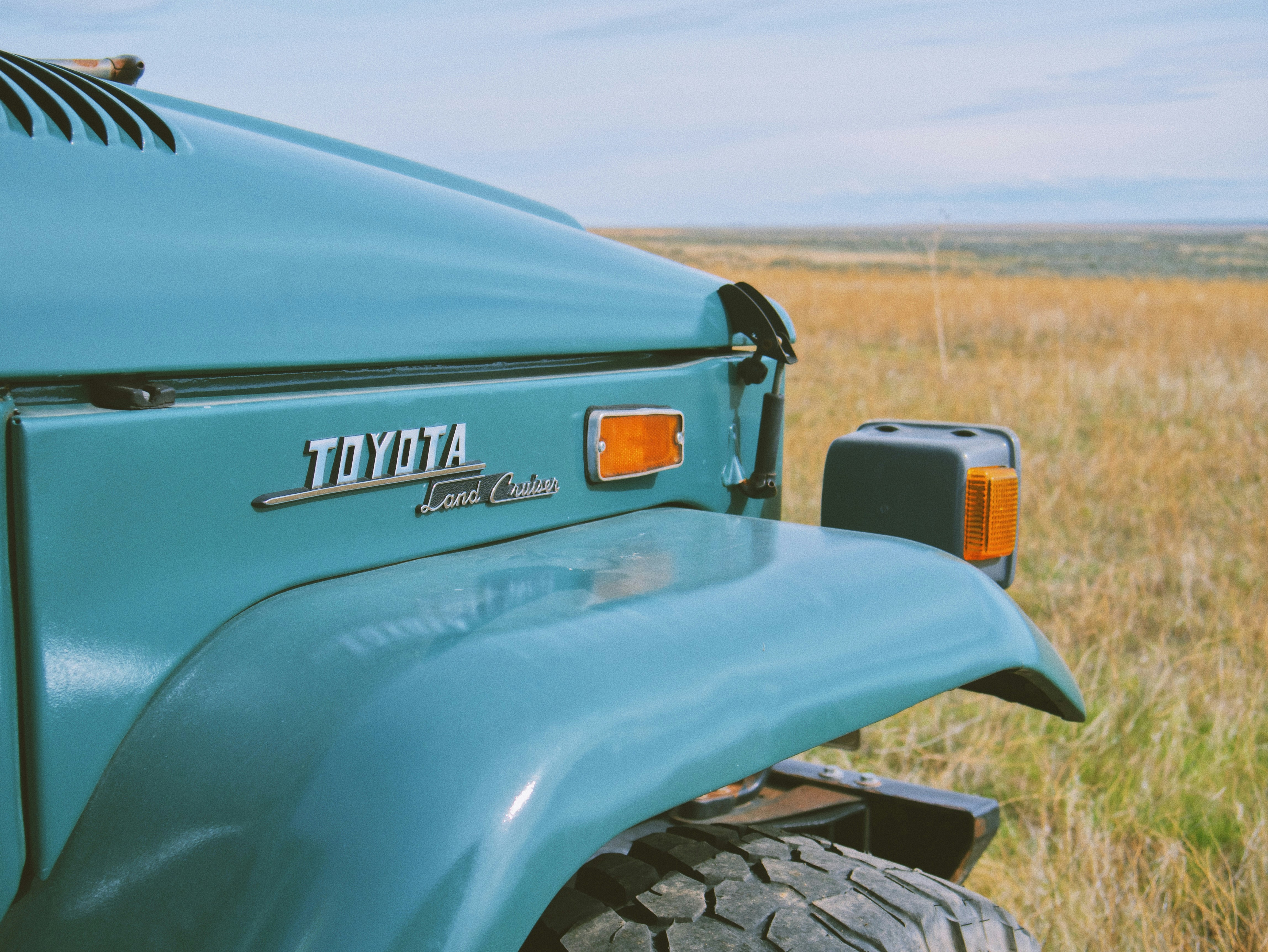 Vintage Cruiser in Open Fields