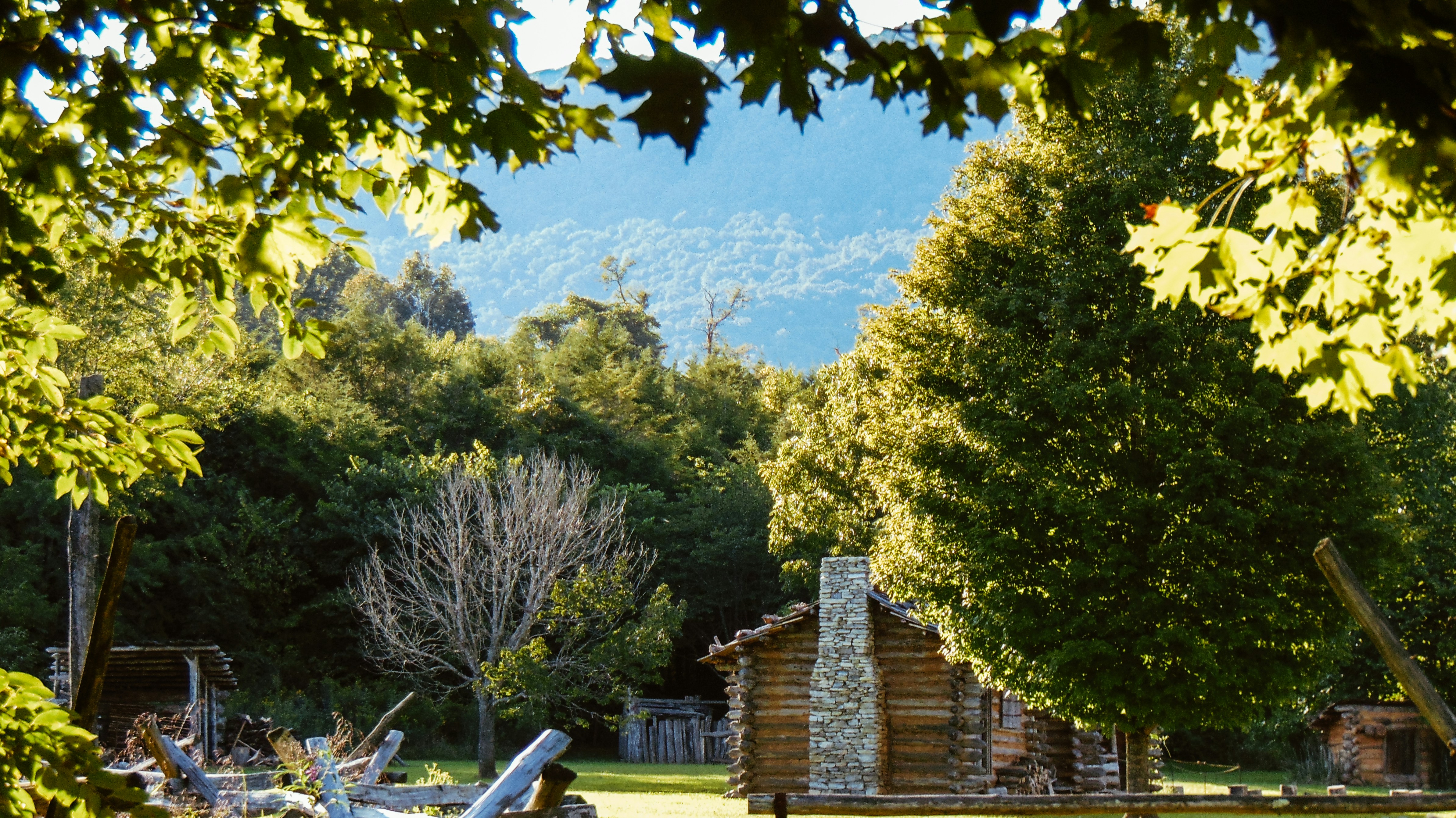 Log cabins nestled among lush greenery with distant mountains in the background. A serene landscape inviting exploration.