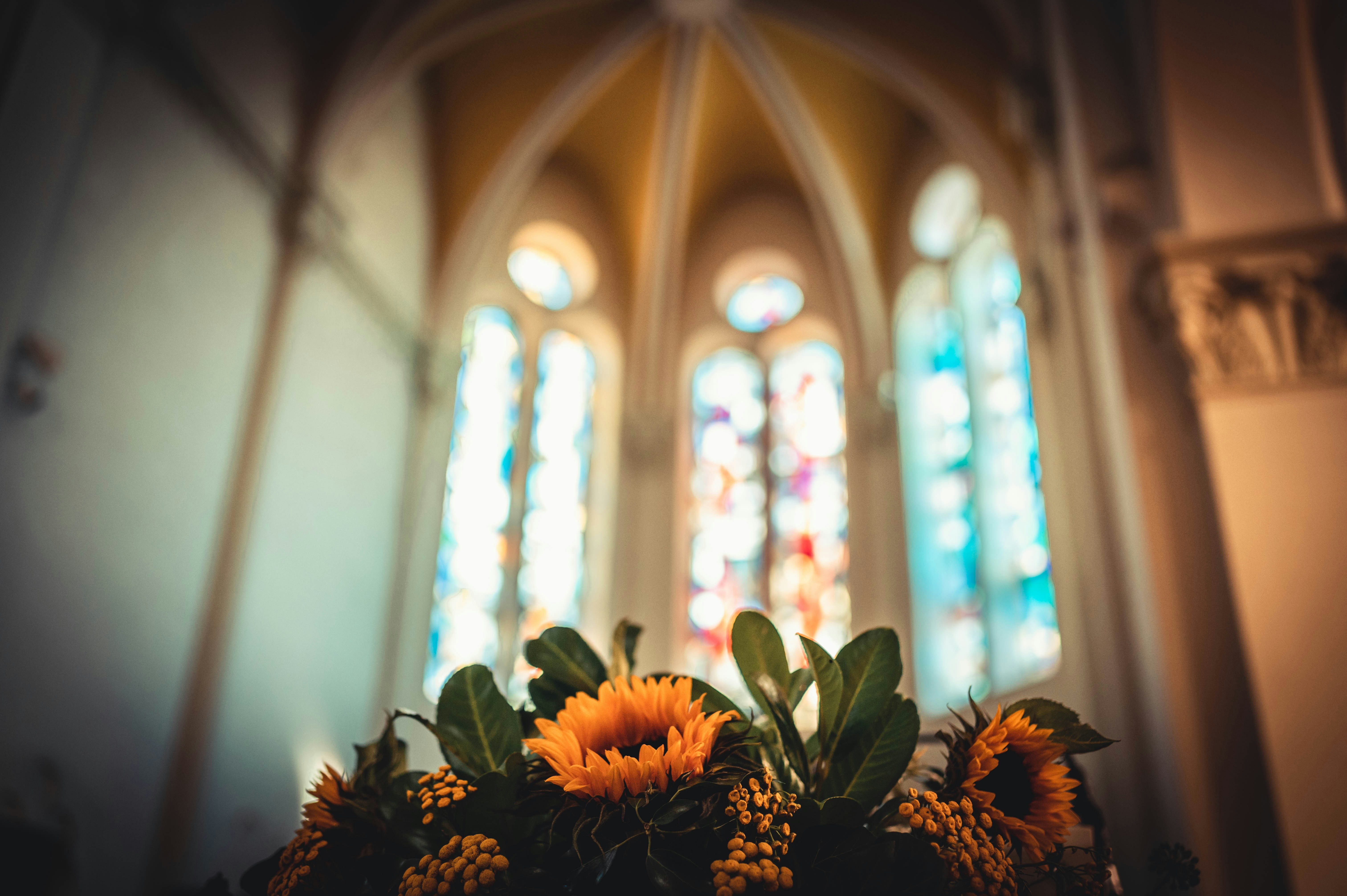 Sunlit Florals in a Sacred Space