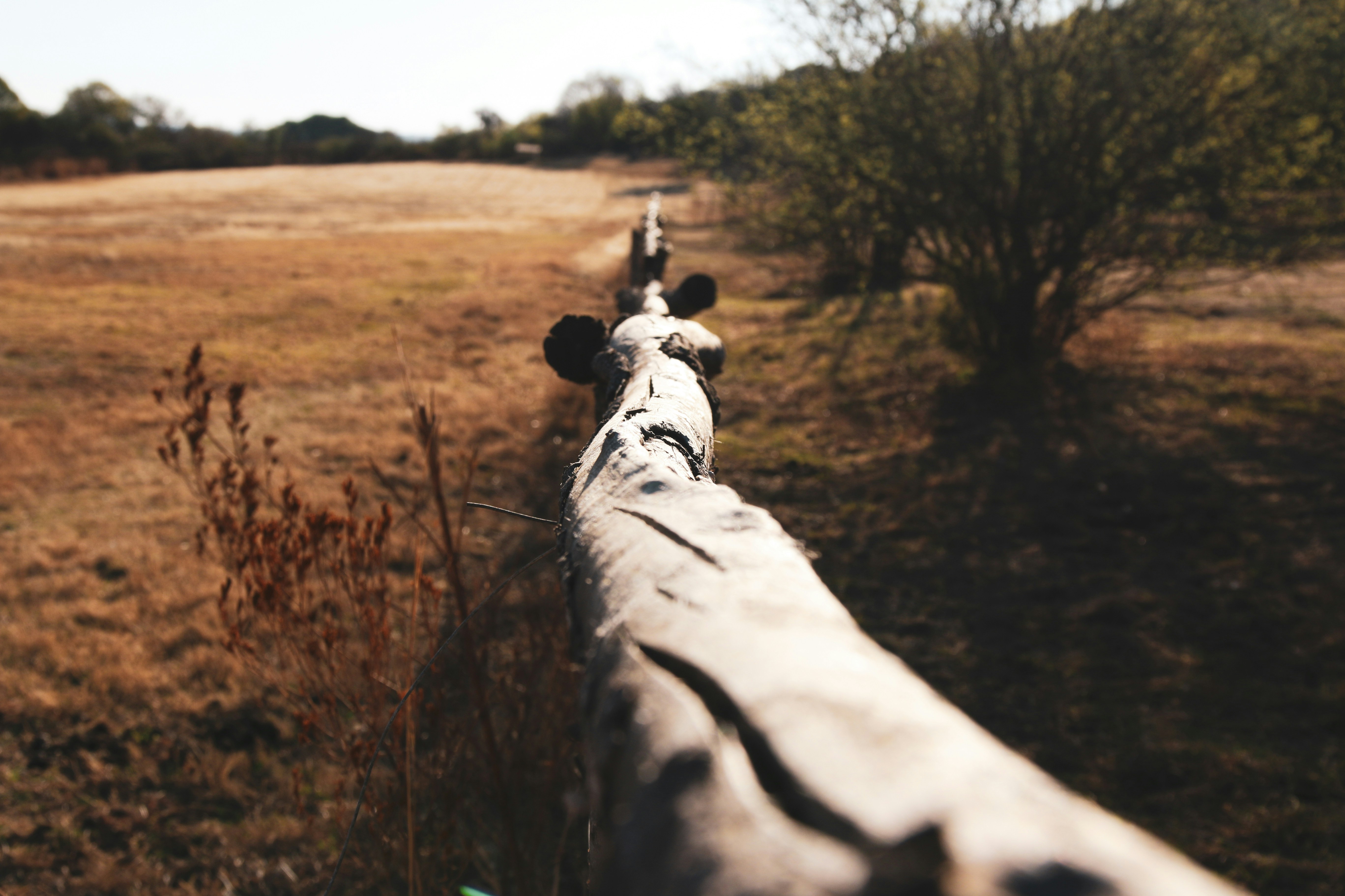 A weathered wooden fence stretches through a sunlit field, leading the eye toward the horizon. The earthy tones and textures evoke a sense of tranquility.