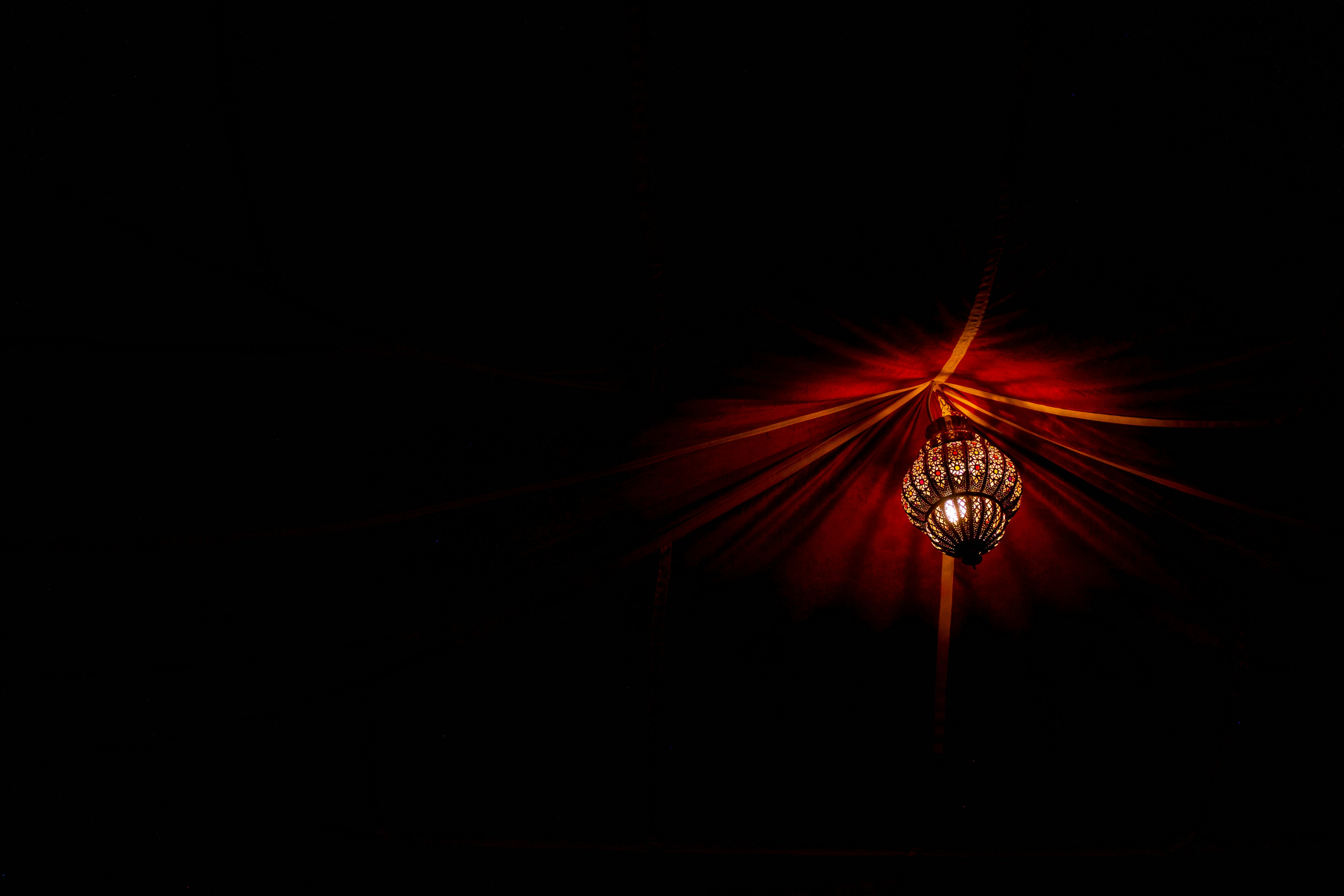Crimson Lantern in Velvet Darkness: A Quiet Burst of Light