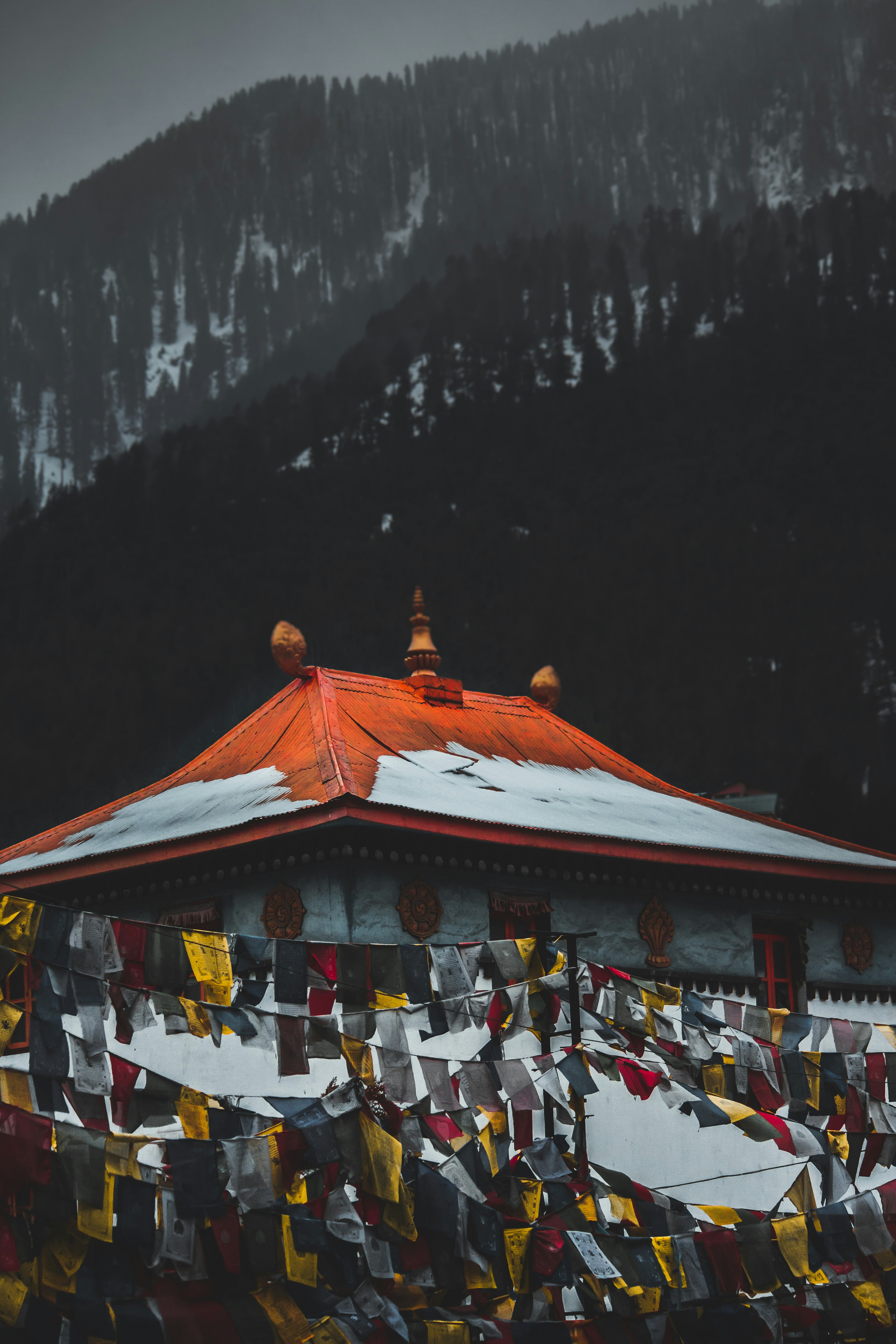 1000+ Himachal Pictures | Download Free Images on Unsplash