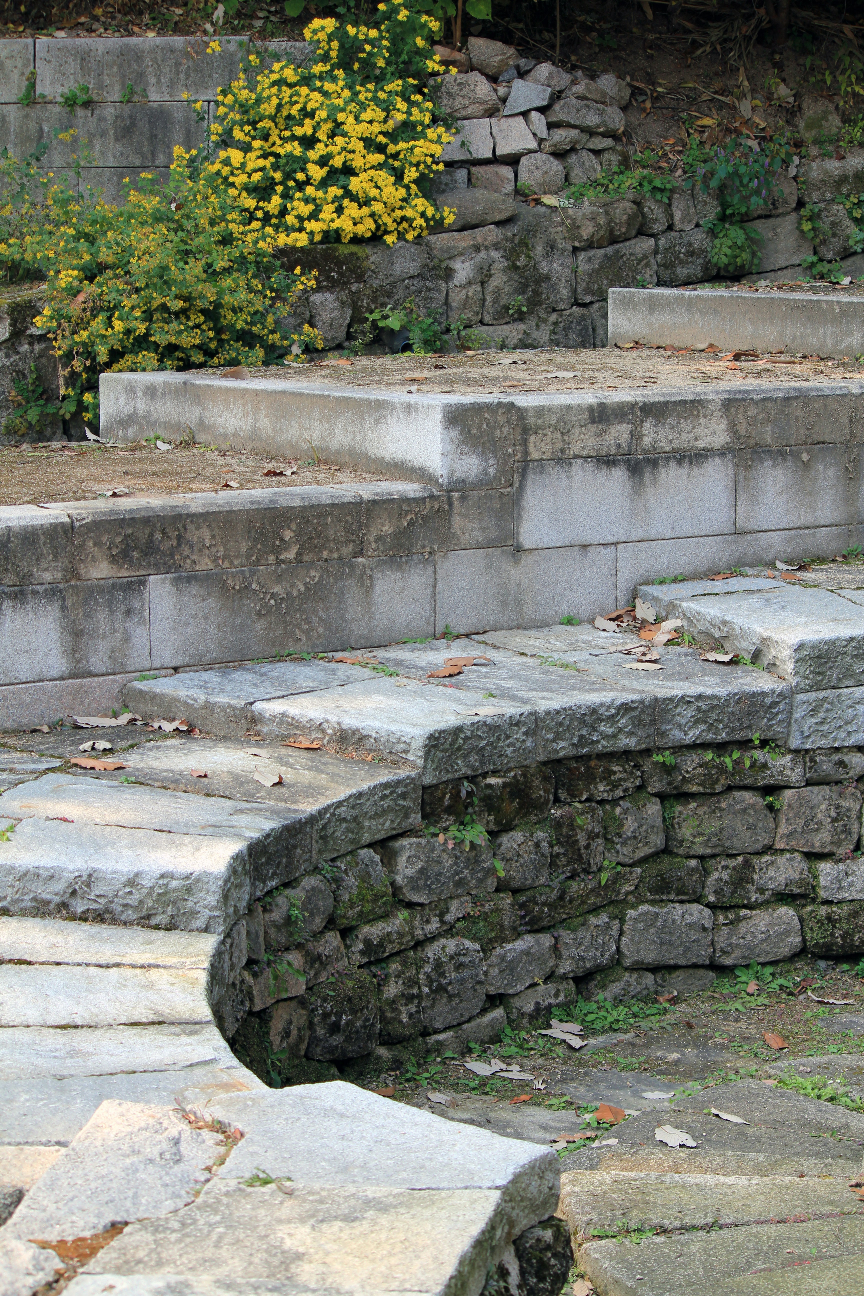 gray concrete stairs with green plants