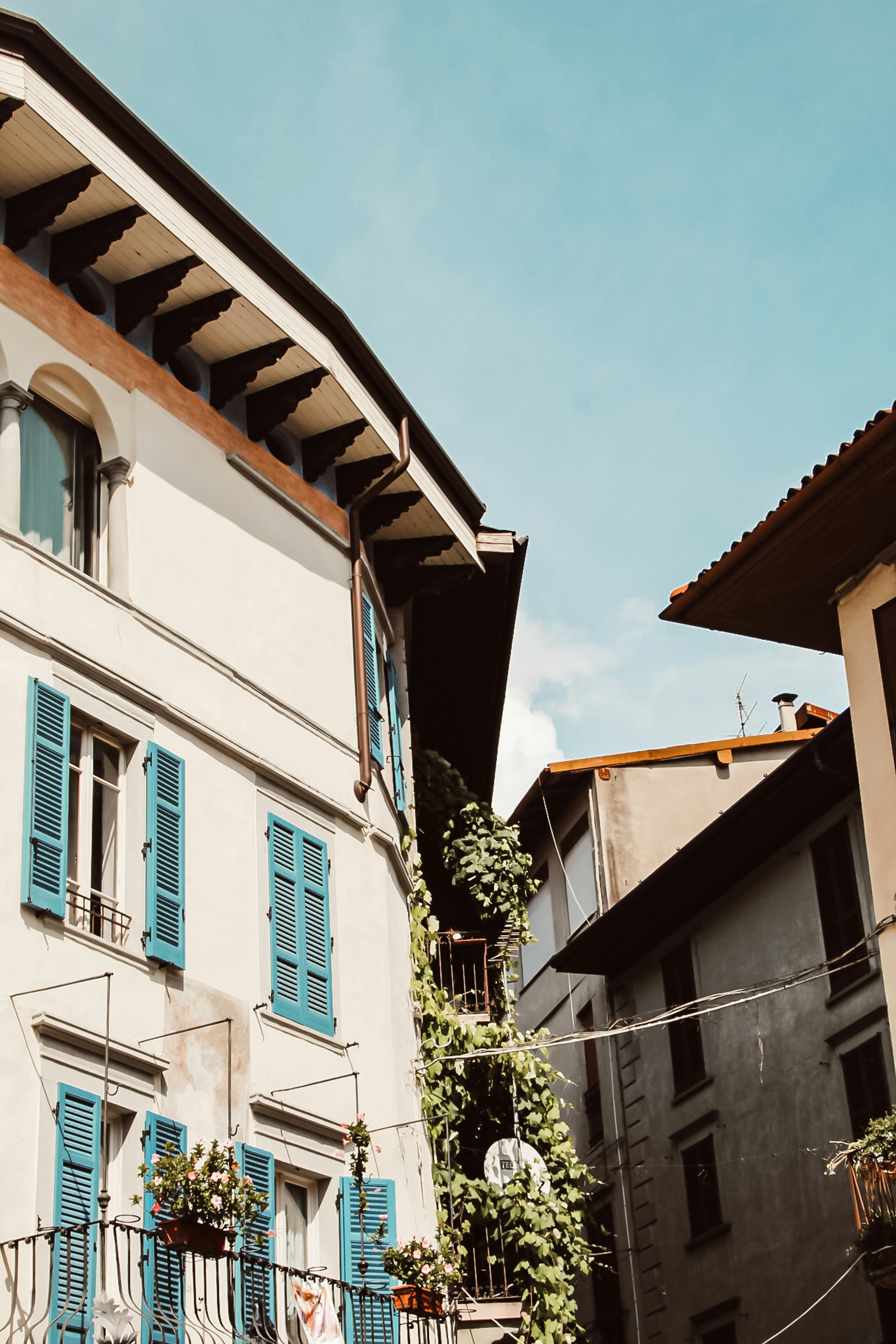 Sunlit buildings with blue shutters and lush balcony plants in a quaint Italian street.