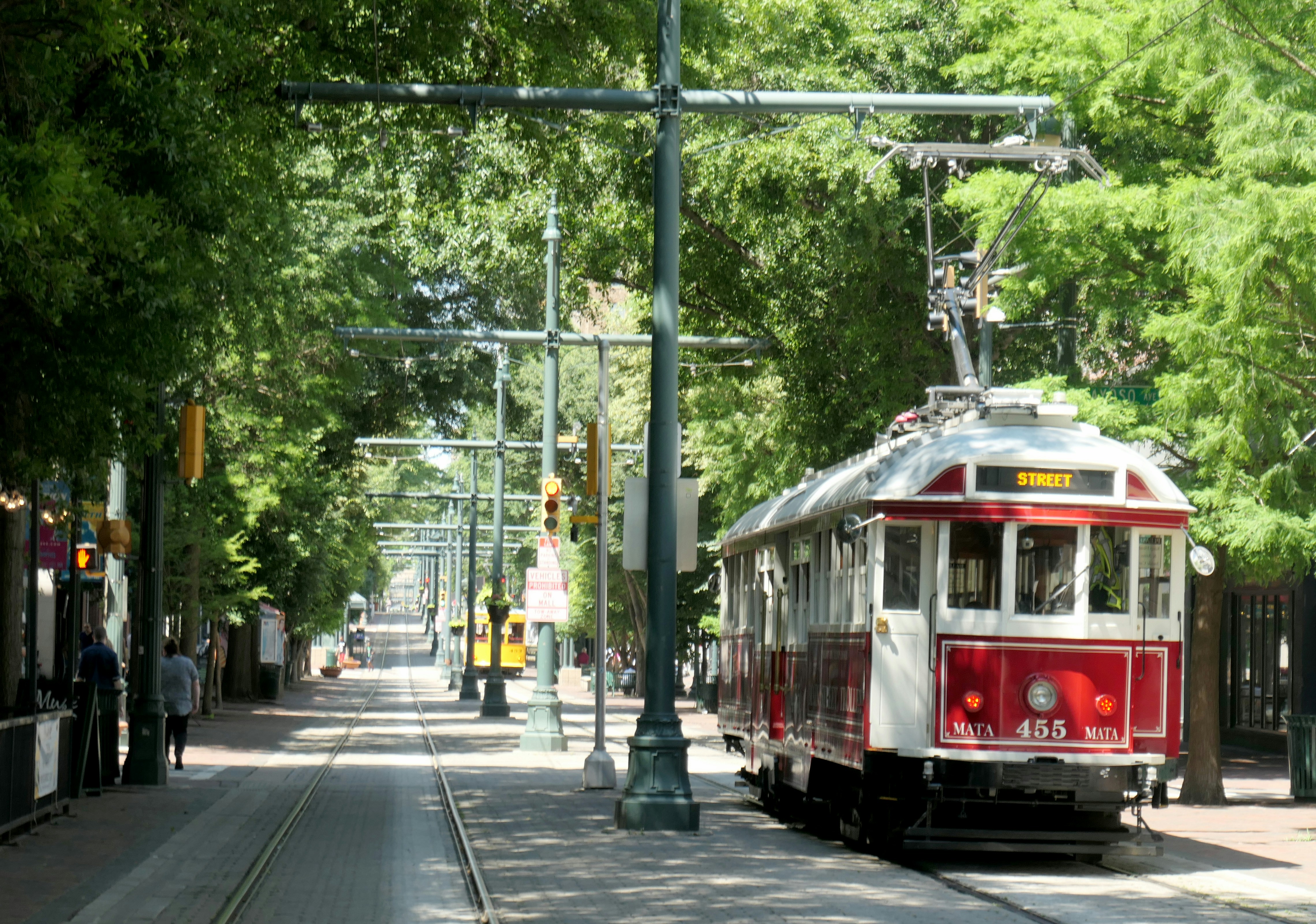 Red and white tram travels along a tree-lined street under bright daylight.