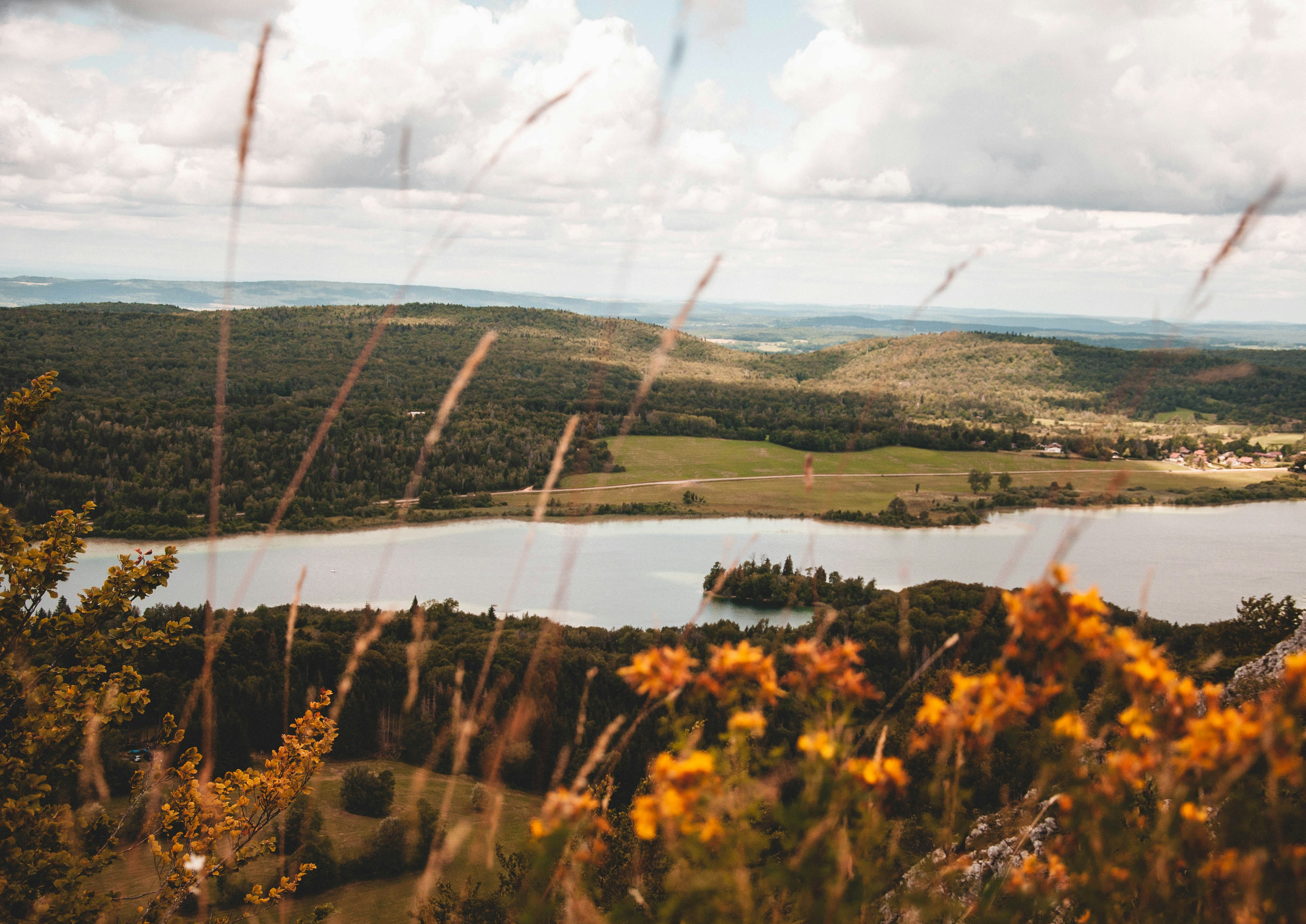 Définition de mettre sous cloche | Dictionnaire français
