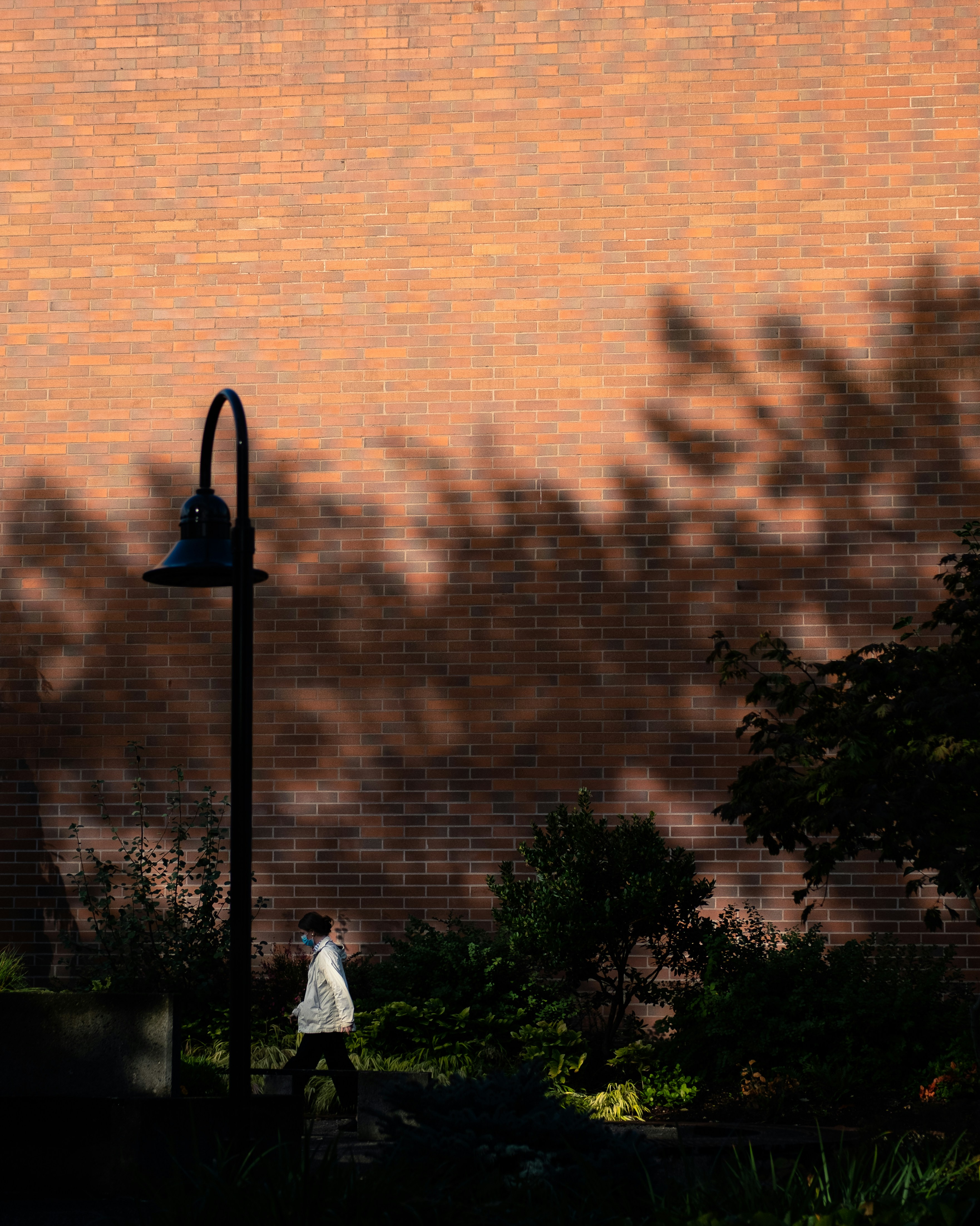 Shadowplay at the Brick Wall: A Quiet Walk in Dappled Light