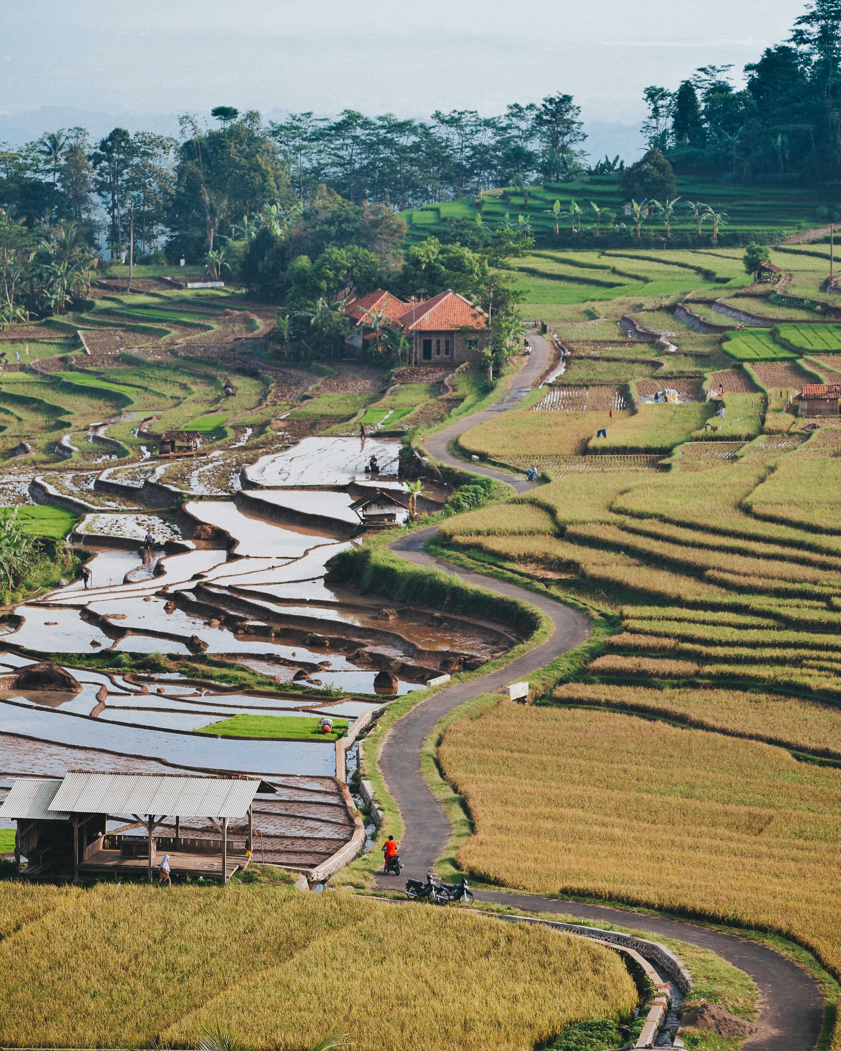 Harmony of Terraced Fields and Tradition