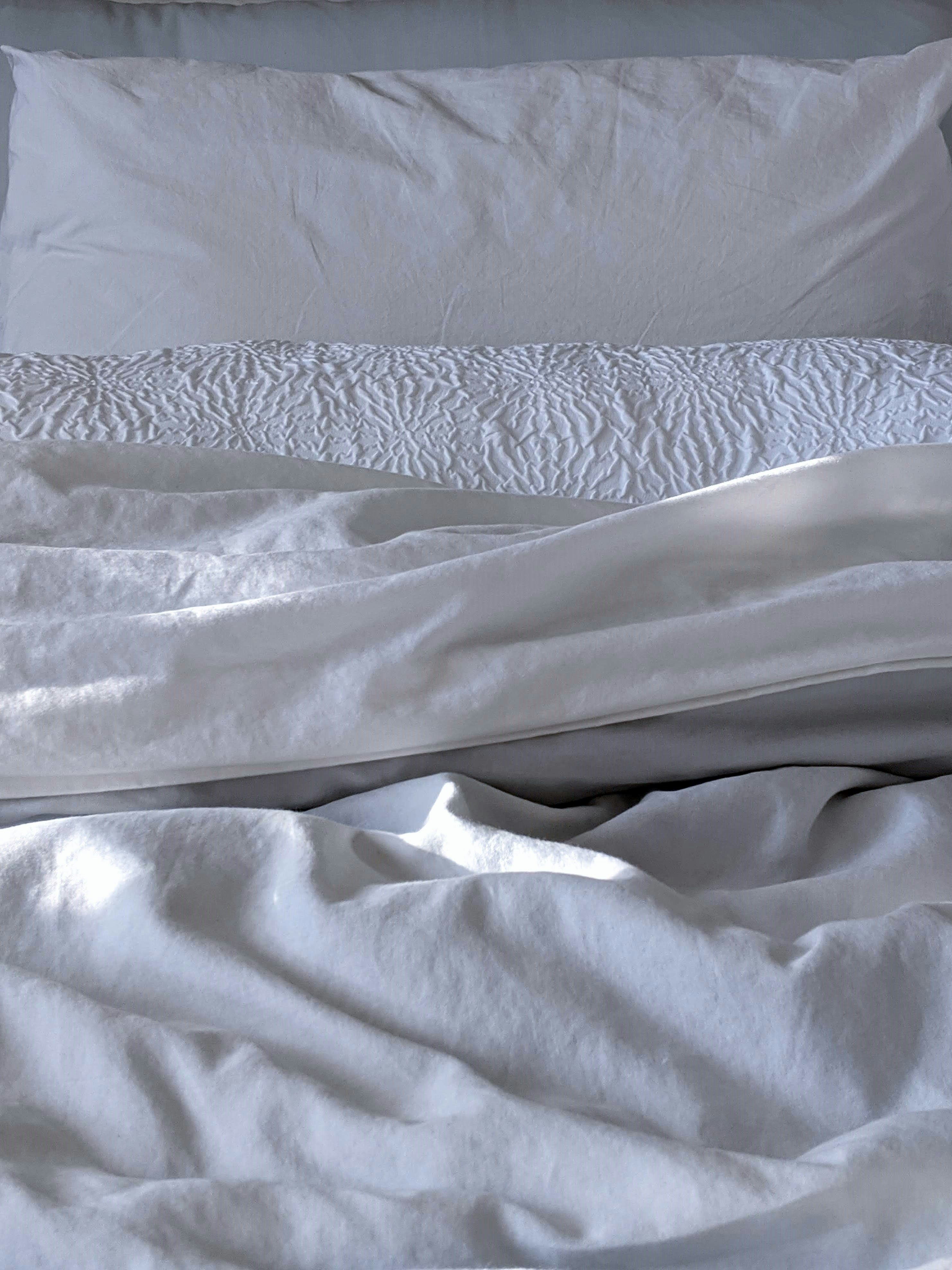 Photo by Susan Wilkinson with Google Pixel 3a