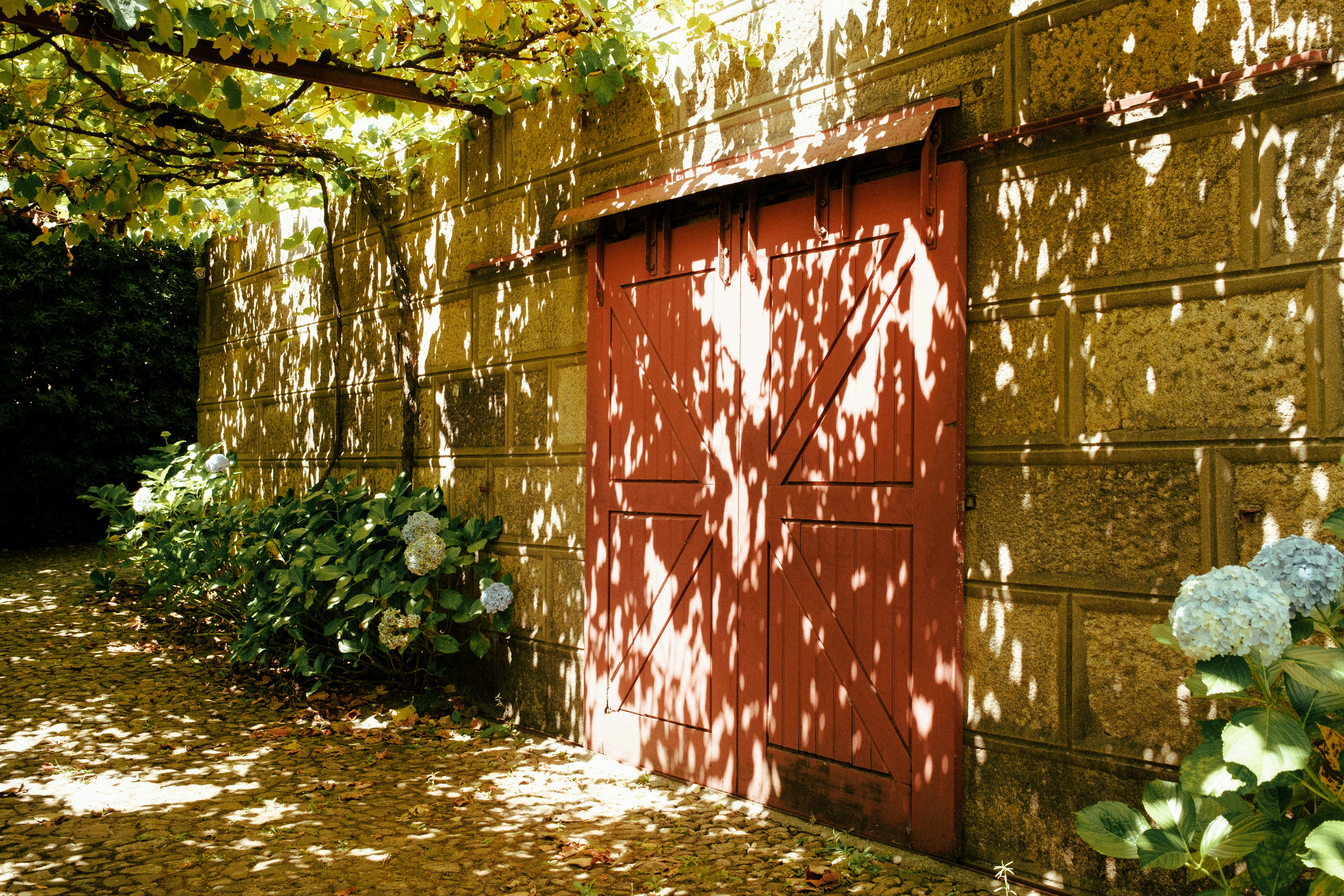 Sunlit Red Door Beneath a Lace of Leaves on a Stone Garden Wall