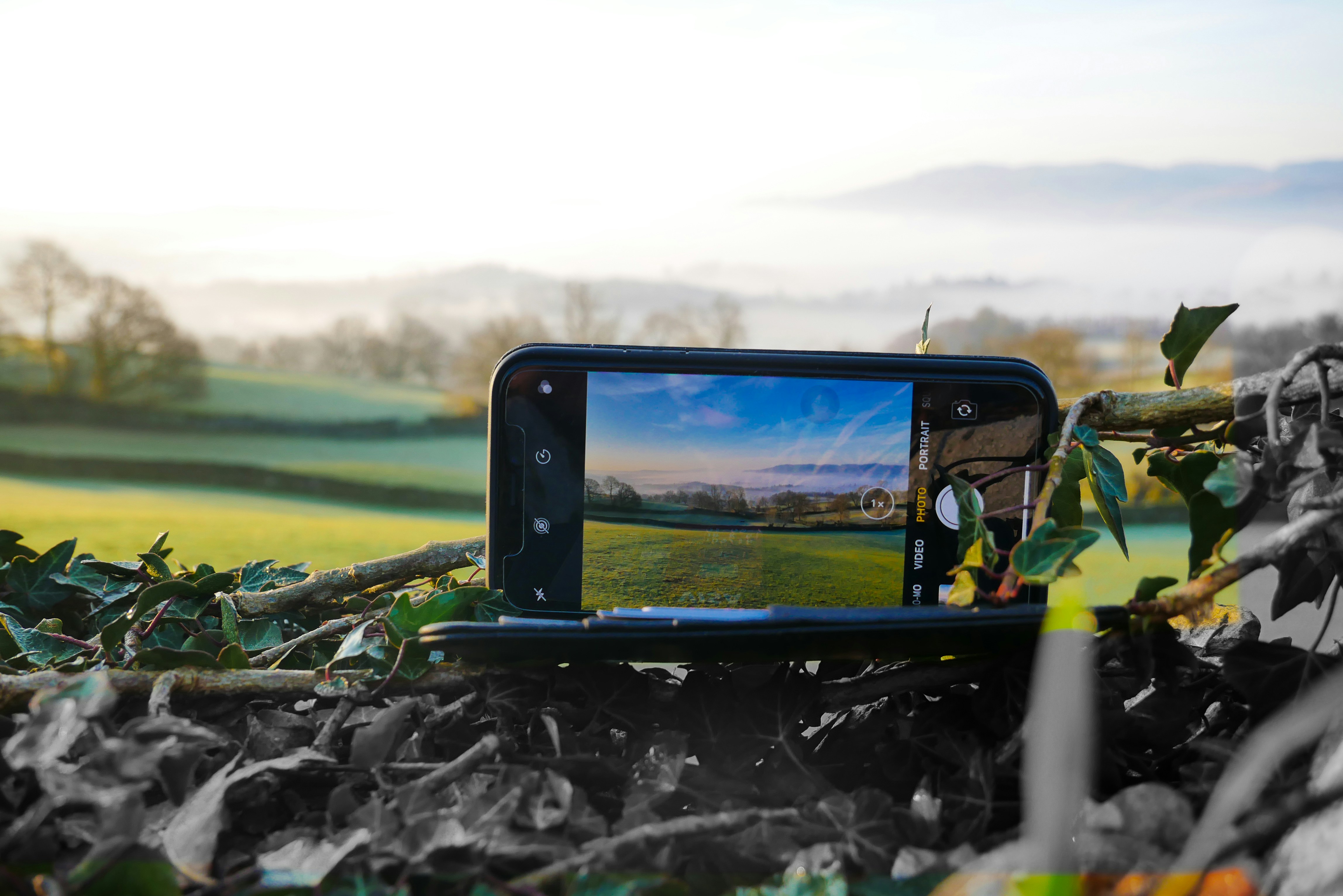 Brambled Viewfinder: A Smartphone Framing a Sunlit Valley