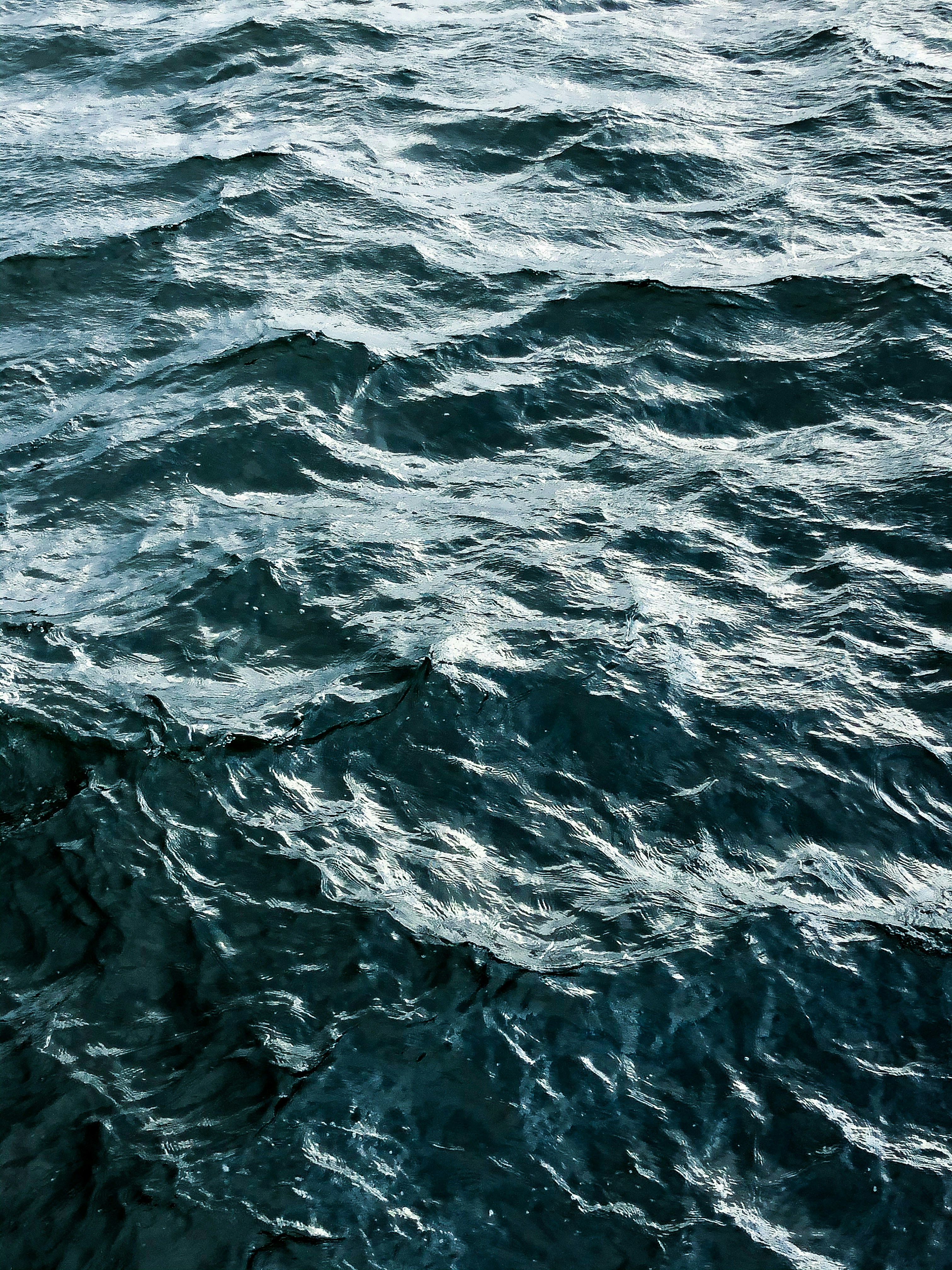 Water Wave Pictures | Download Free Images on Unsplash