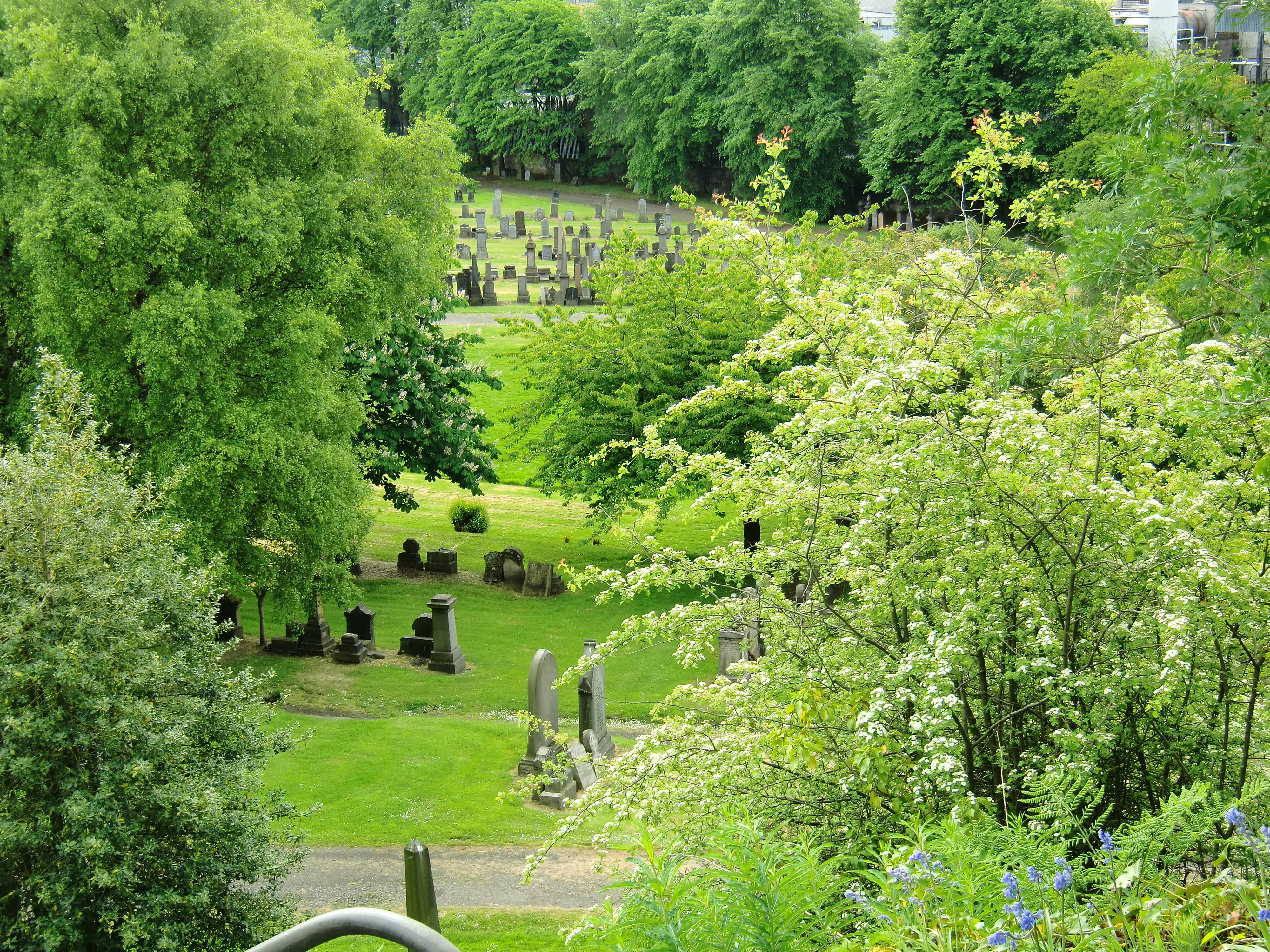 Tod Immagini | Scarica immagini gratuite su Unsplash