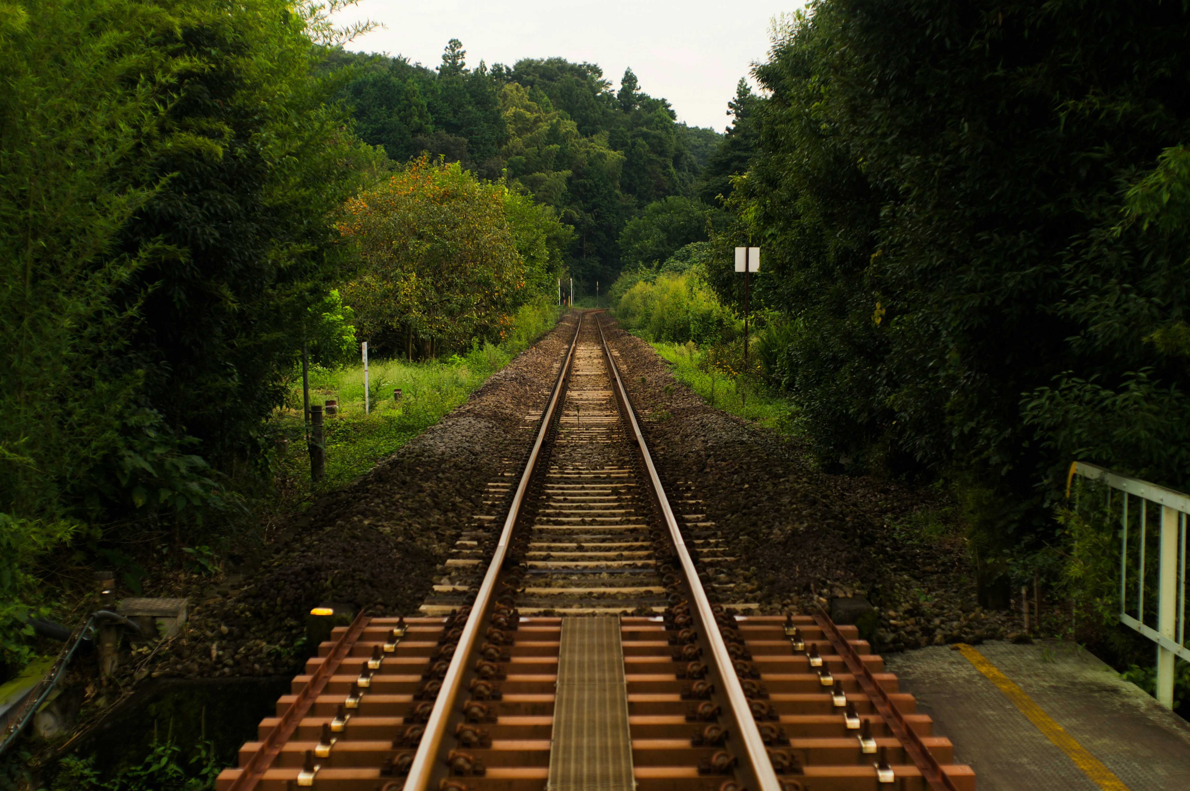 Railroad tracks stretching into a lush green forest under a cloudy sky.