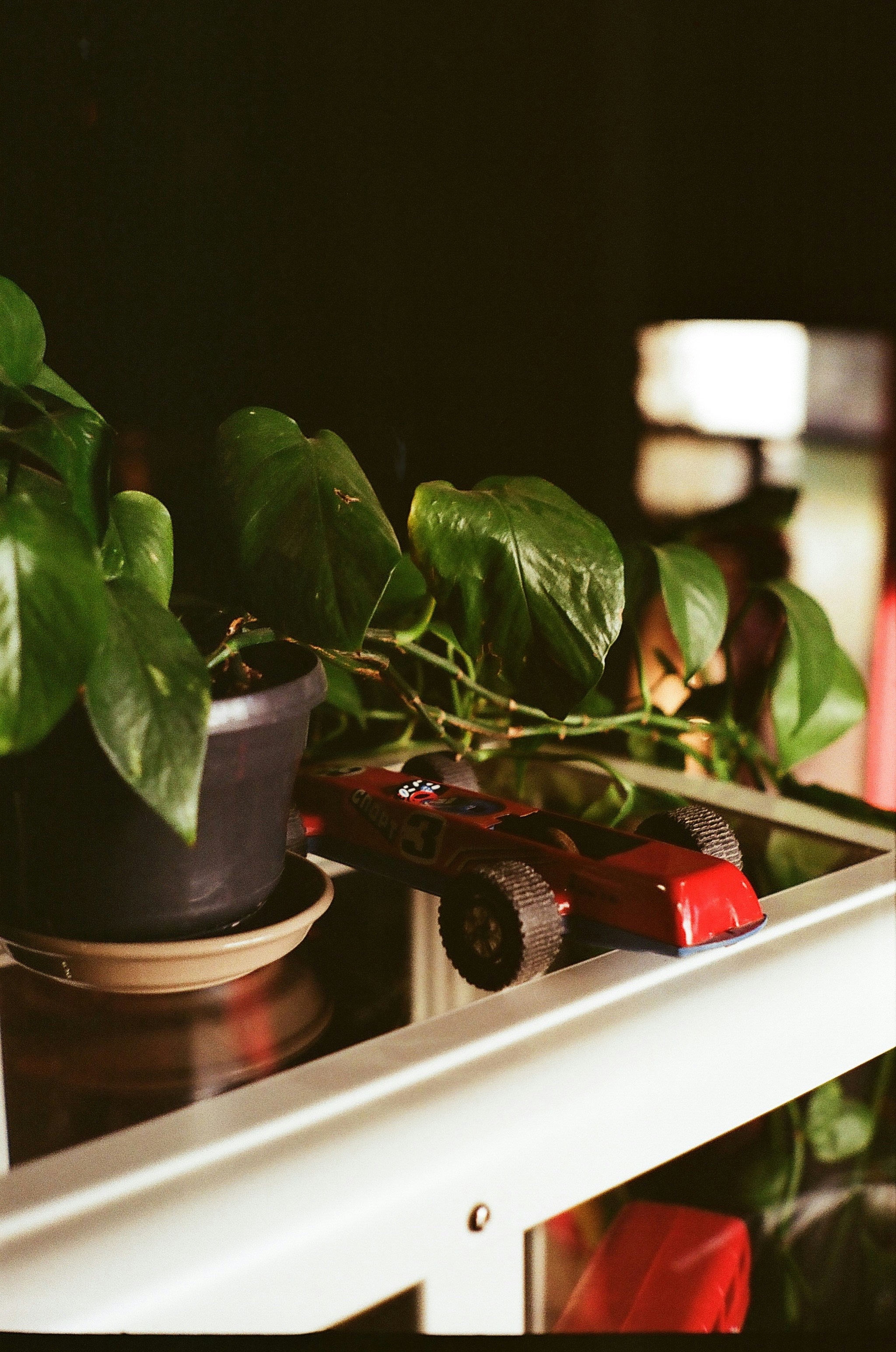 Red High-Speed Racer Resting on a White Shelf Among Green Foliage