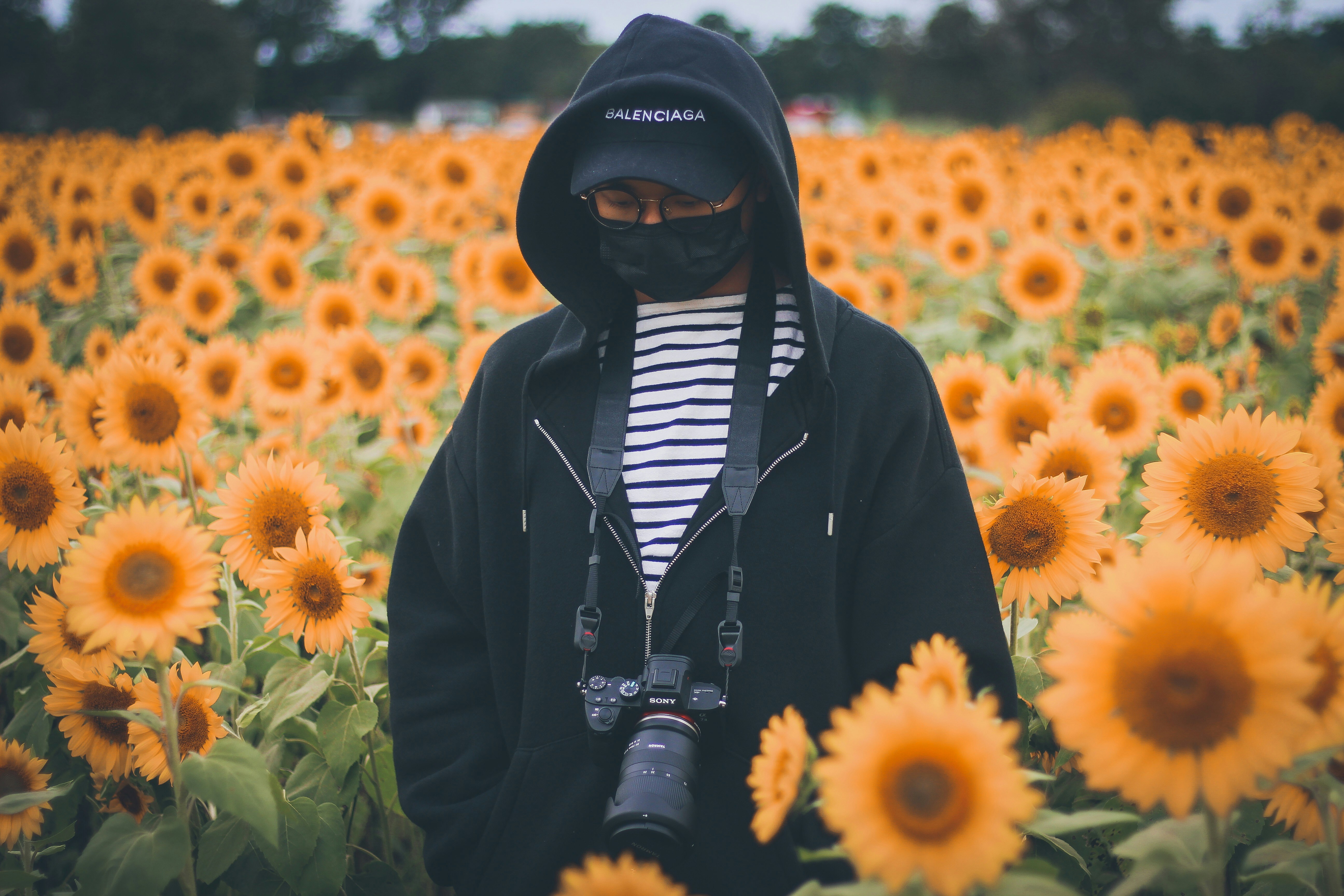 woman in black and white hijab standing on sunflower field during daytime