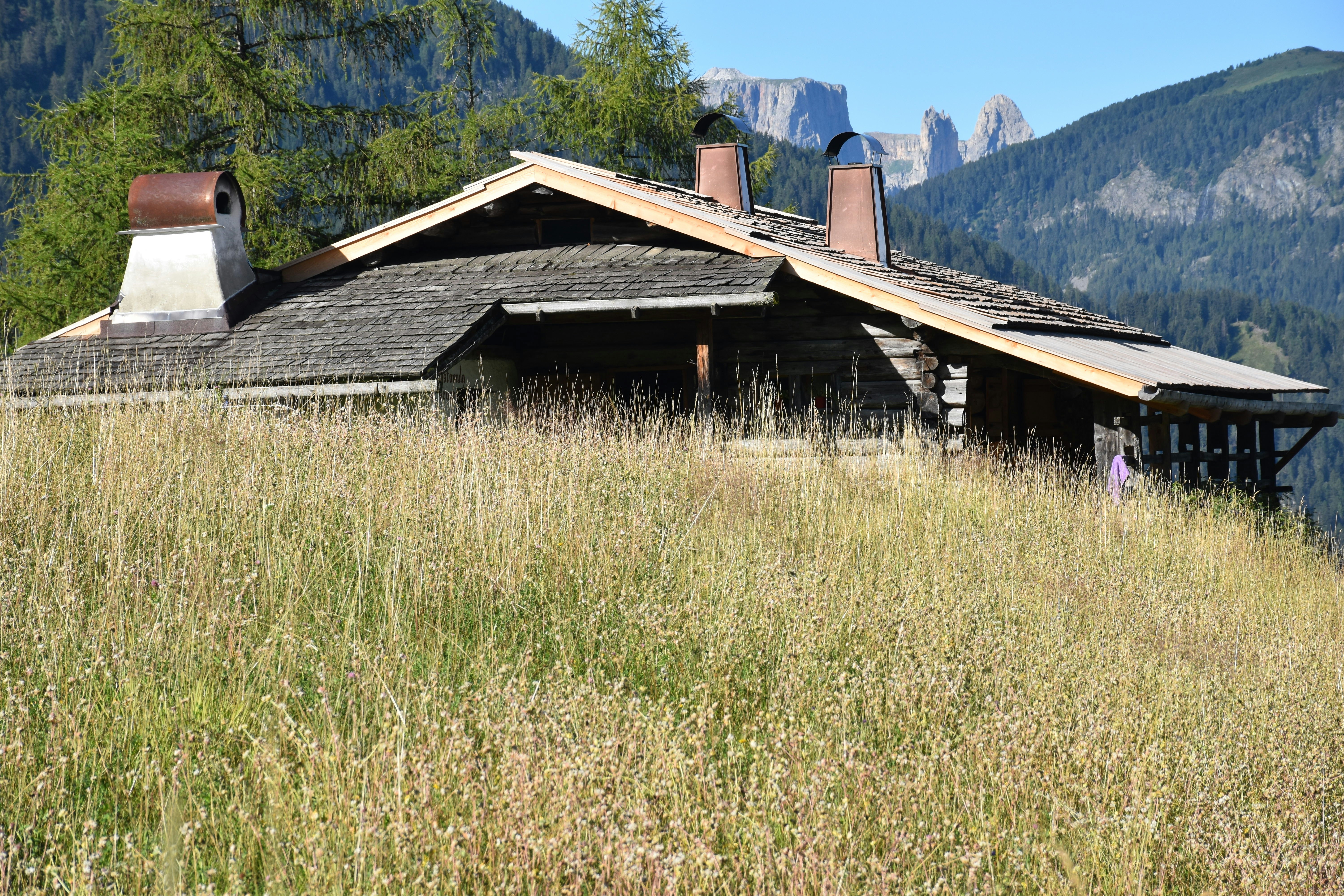 Abandoned Alpine Barn Nestled in Golden Grass