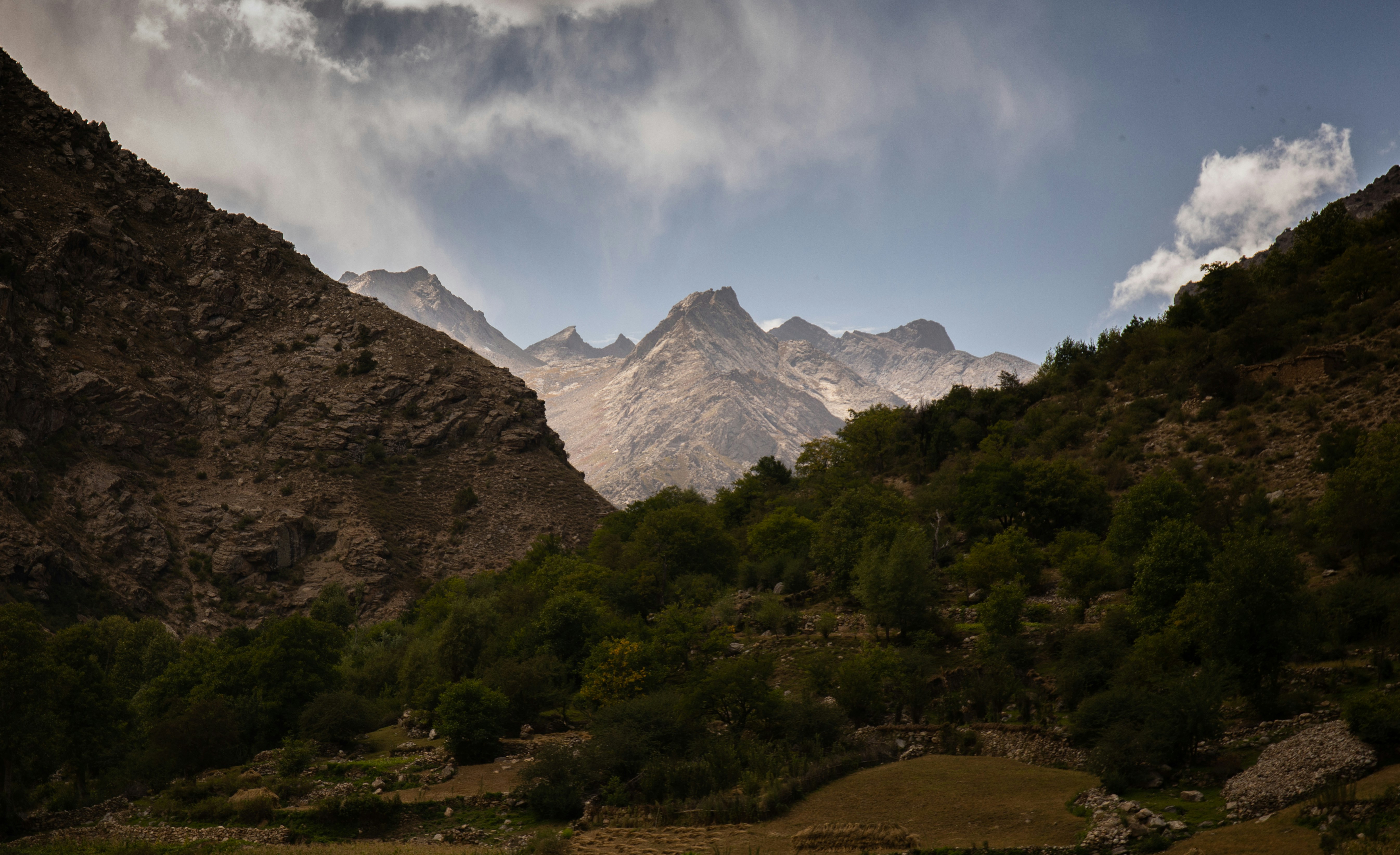 Majestic mountain range framed by lush greenery, showcasing the interplay of light and shadow across the landscape.