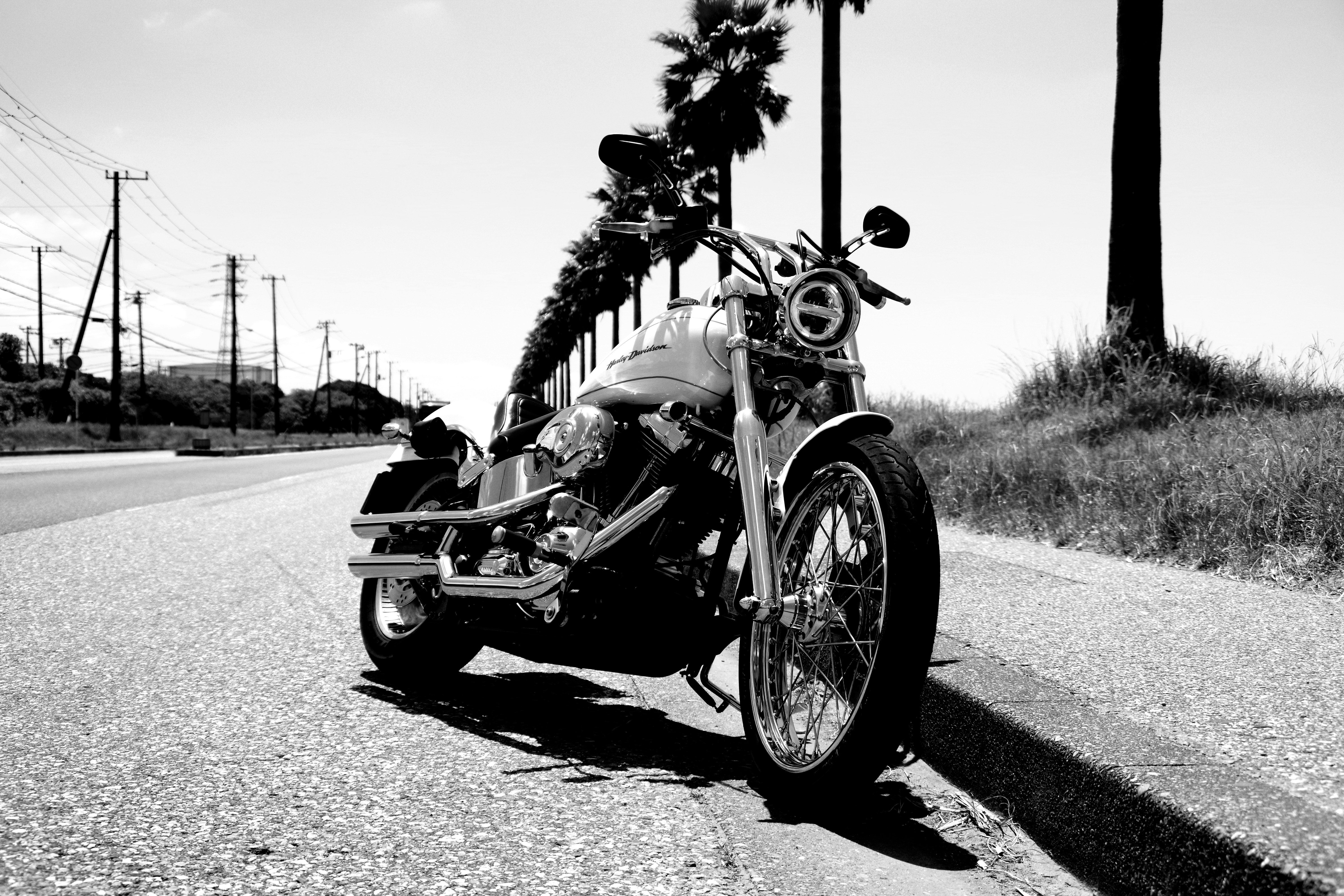 Stylish motorcycle parked beside a palm-lined road, showcasing its sleek design against a stark black and white backdrop.