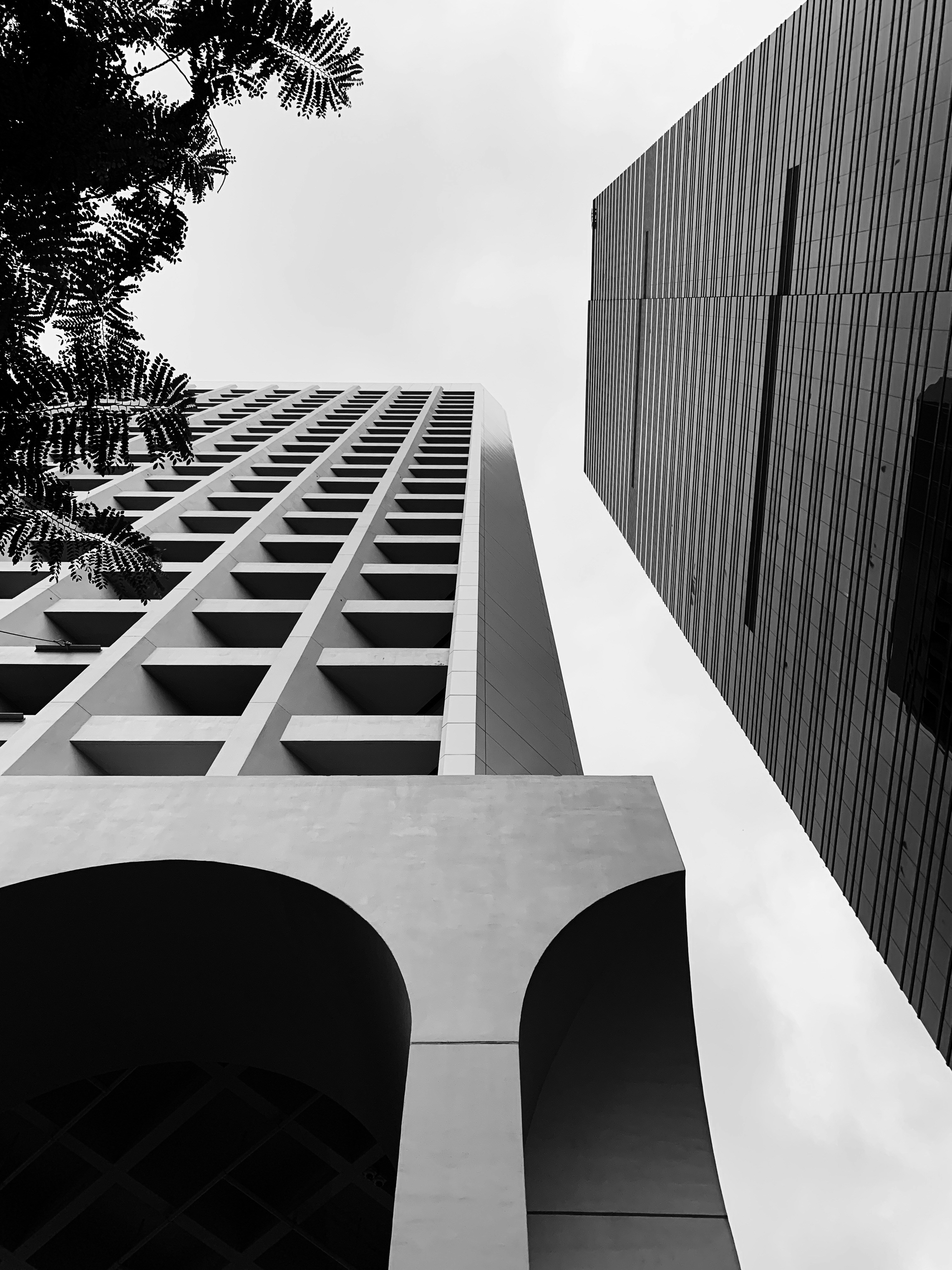 Urban Monoliths Upright: A Monochrome Skyward View