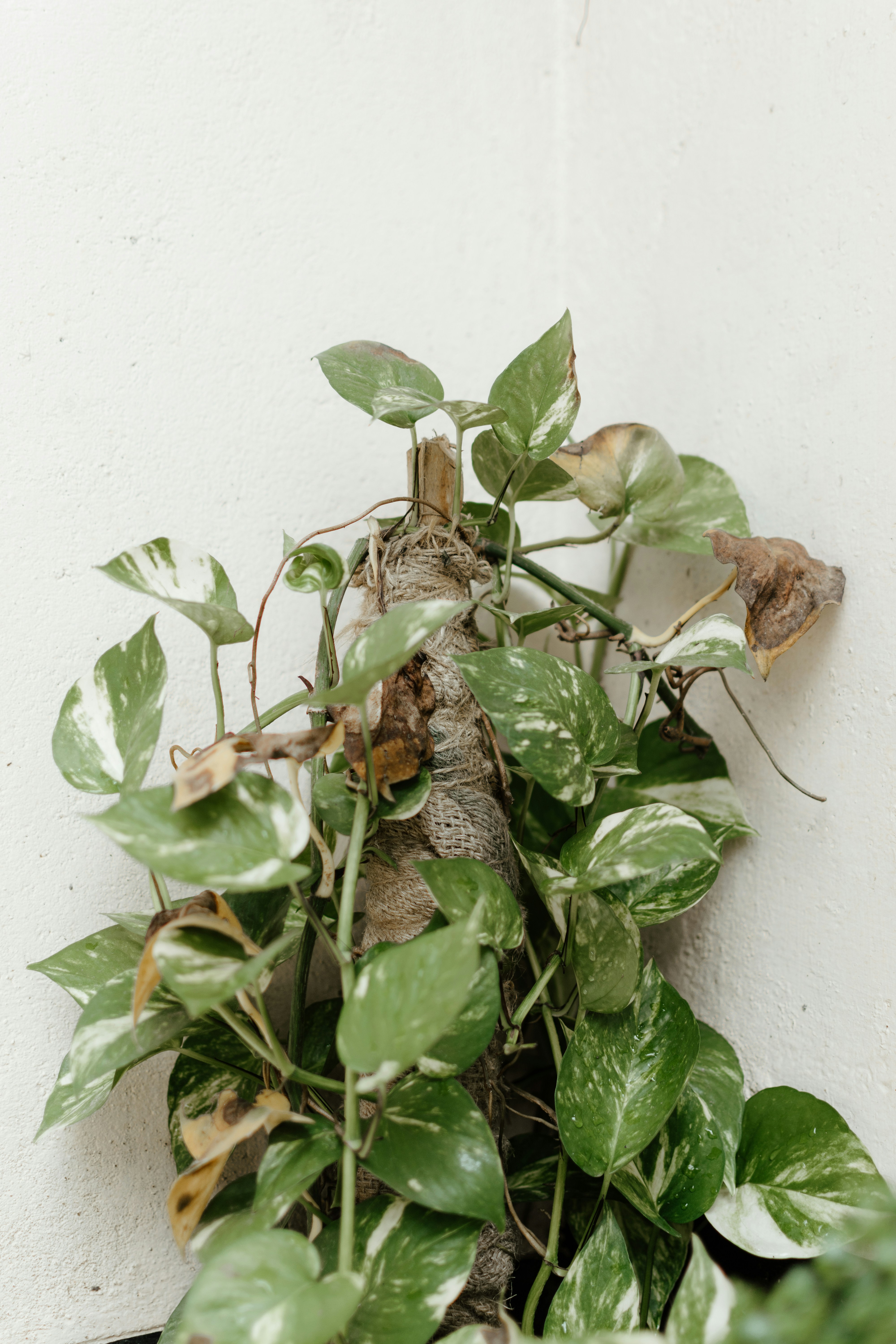 Photo by brbrihan__ with Nikon D5600