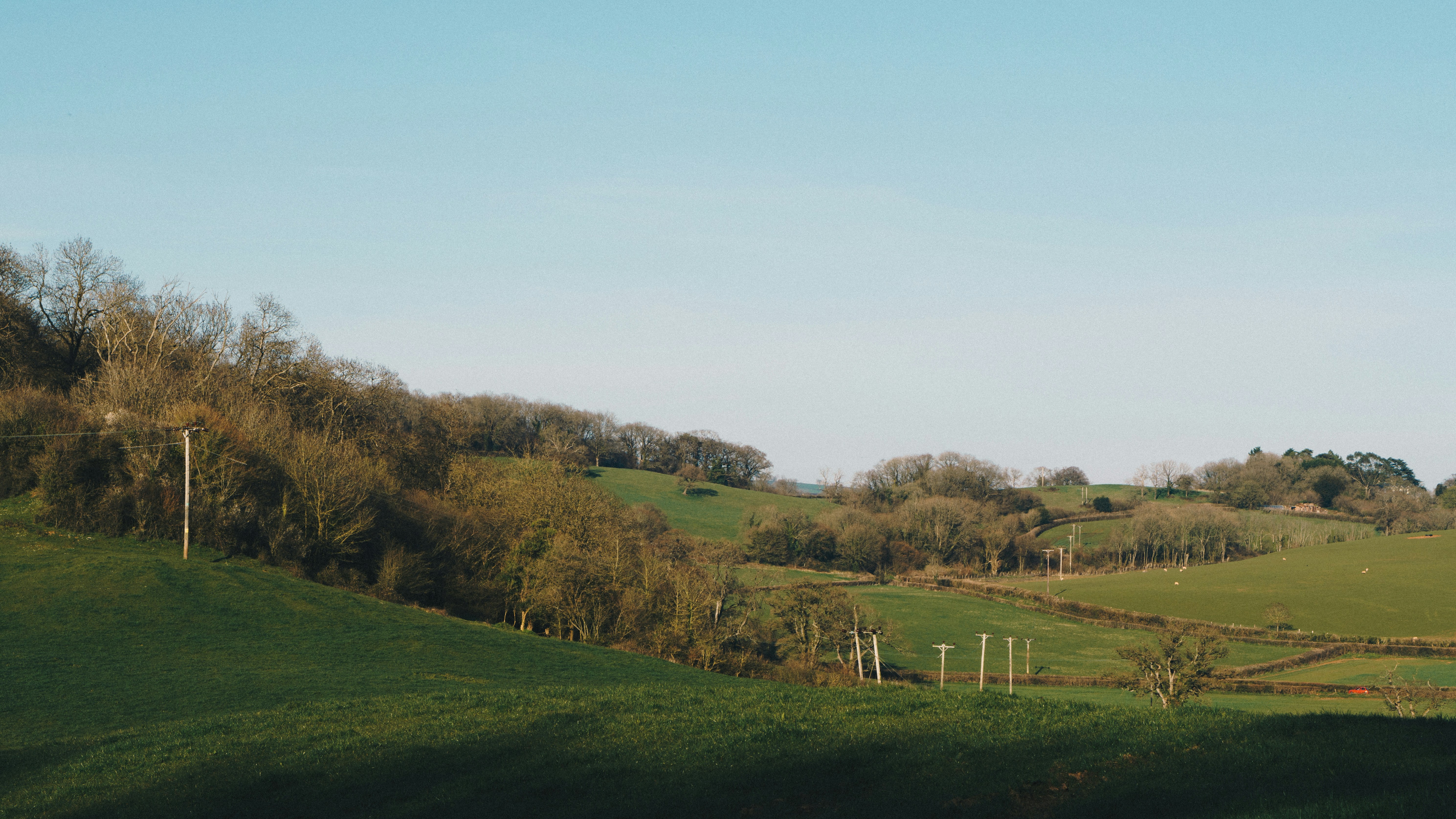 Lush rolling hills adorned with trees and power lines under a clear blue sky, showcasing the serene beauty of the countryside.