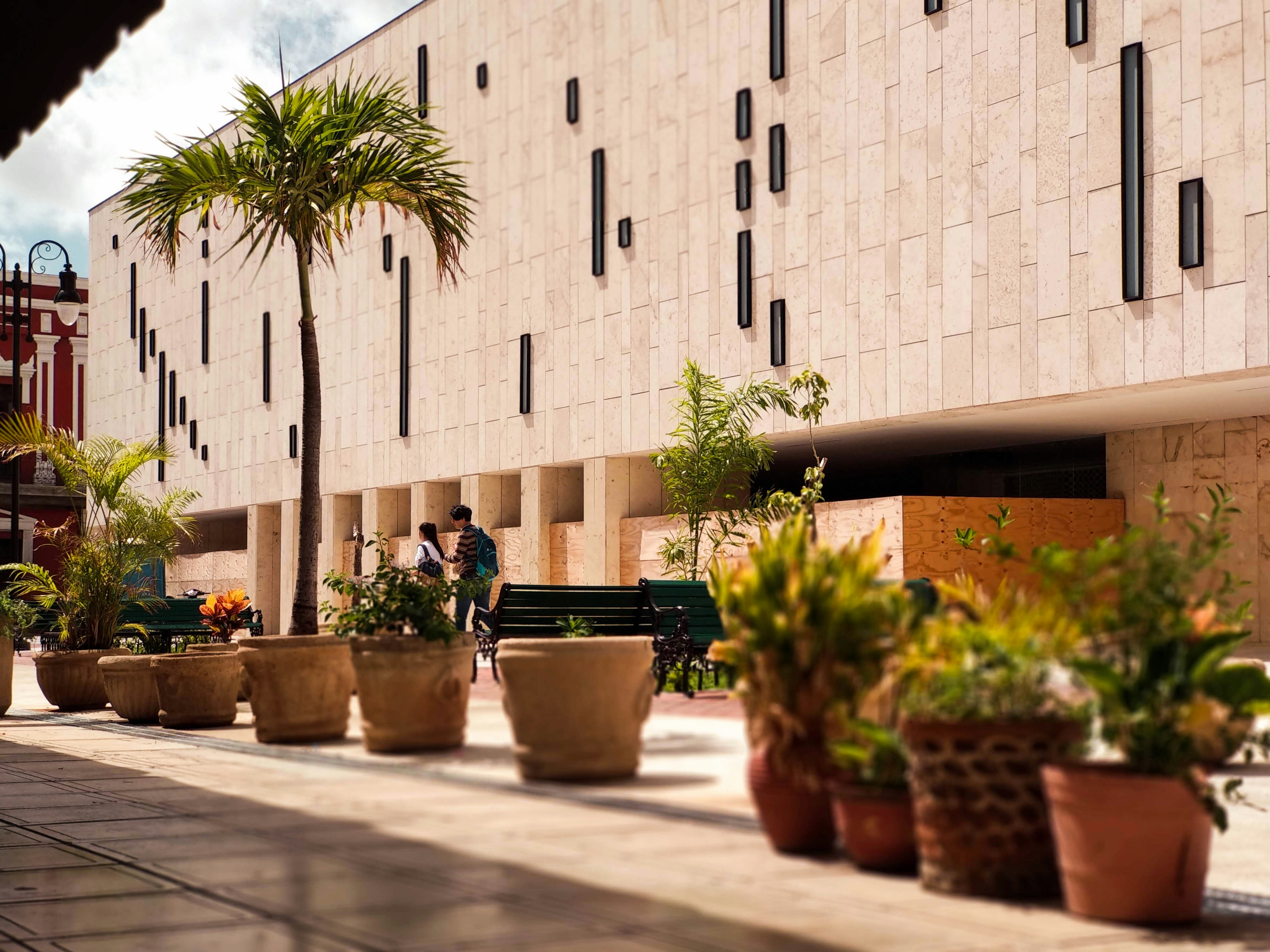 Contemporary building facade with potted plants and palm trees under a bright sky.