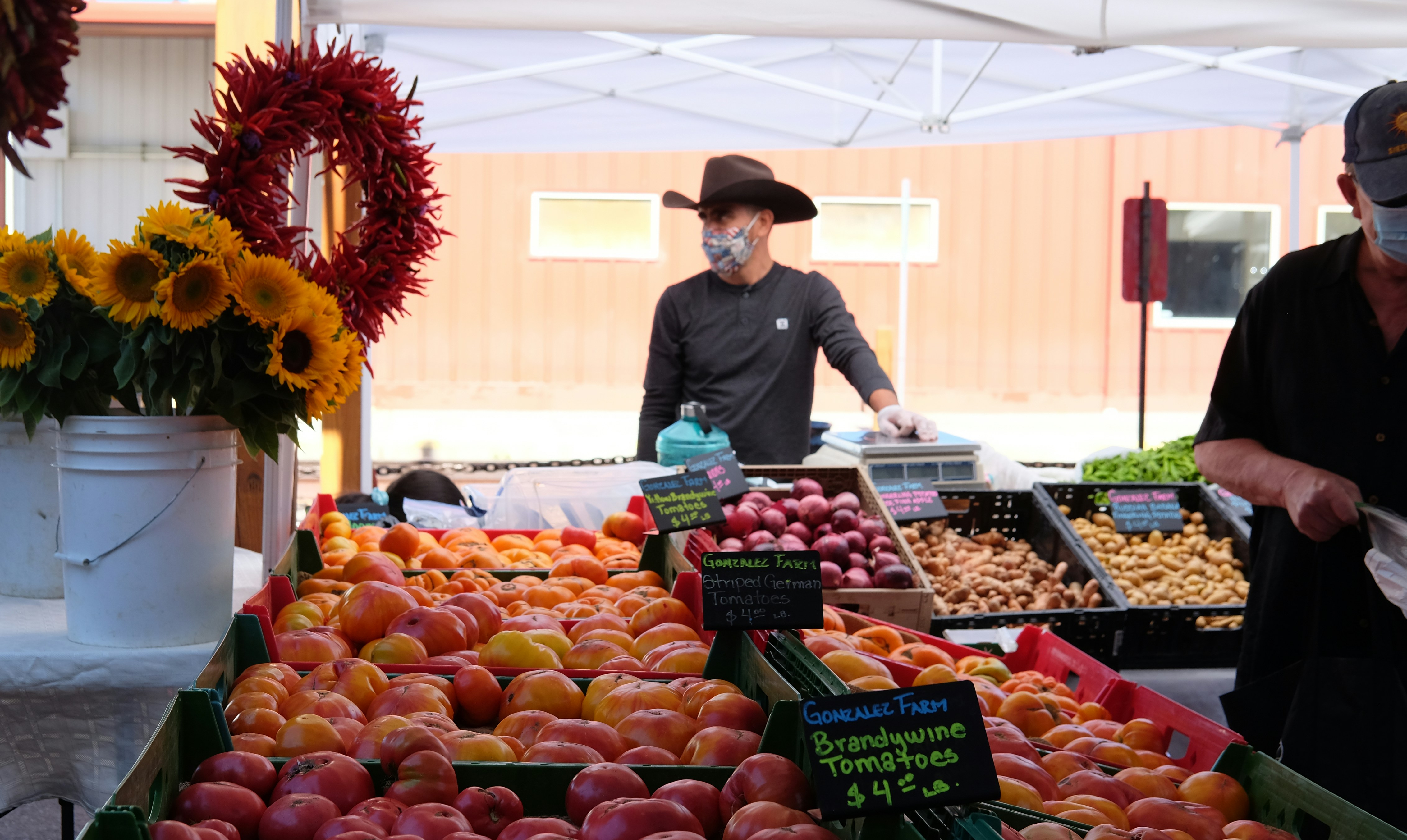 Market Stall Under a Canopy: Fresh Produce and Aisles of Color