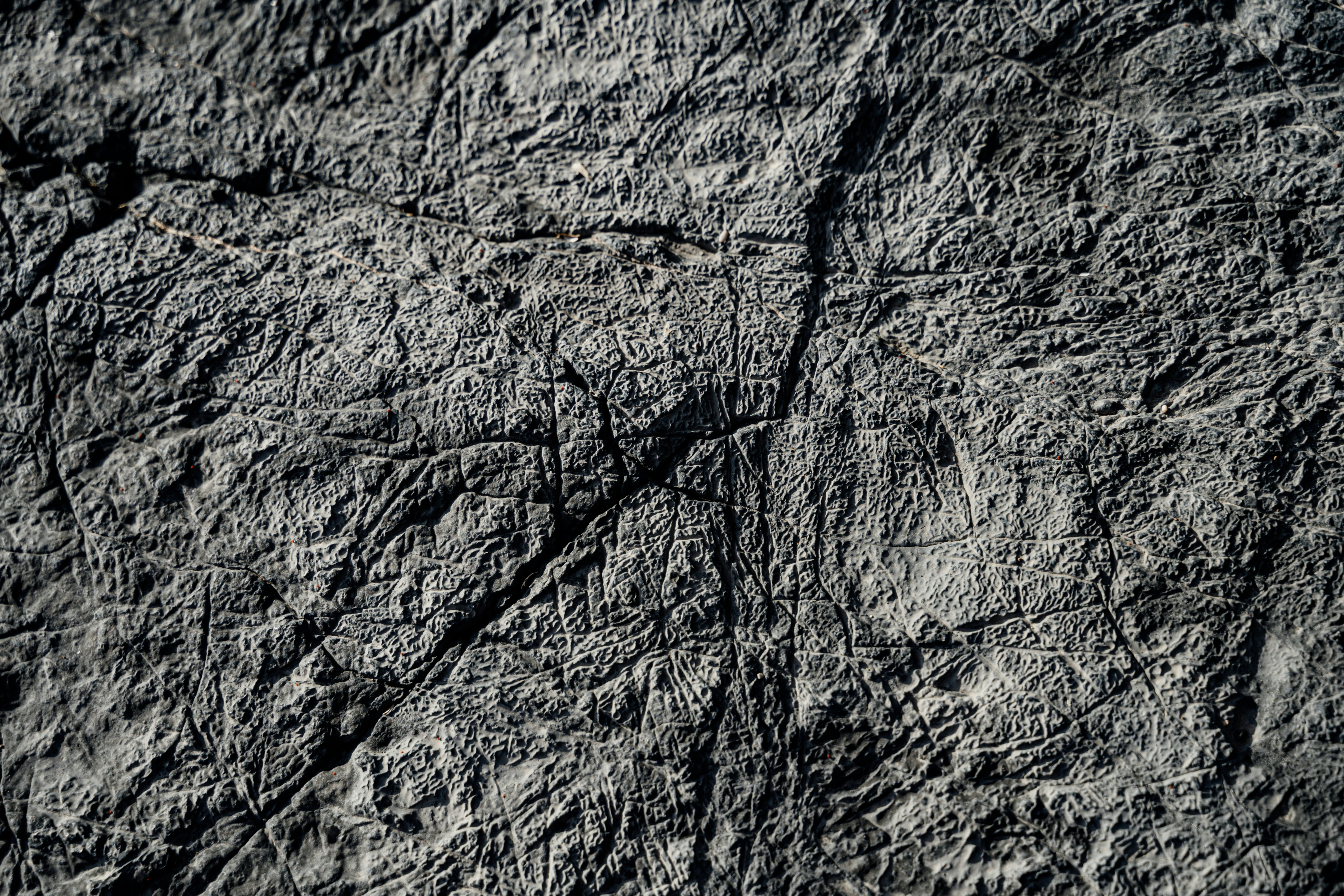 750+ Rock Texture Pictures | Download Free Images on Unsplash