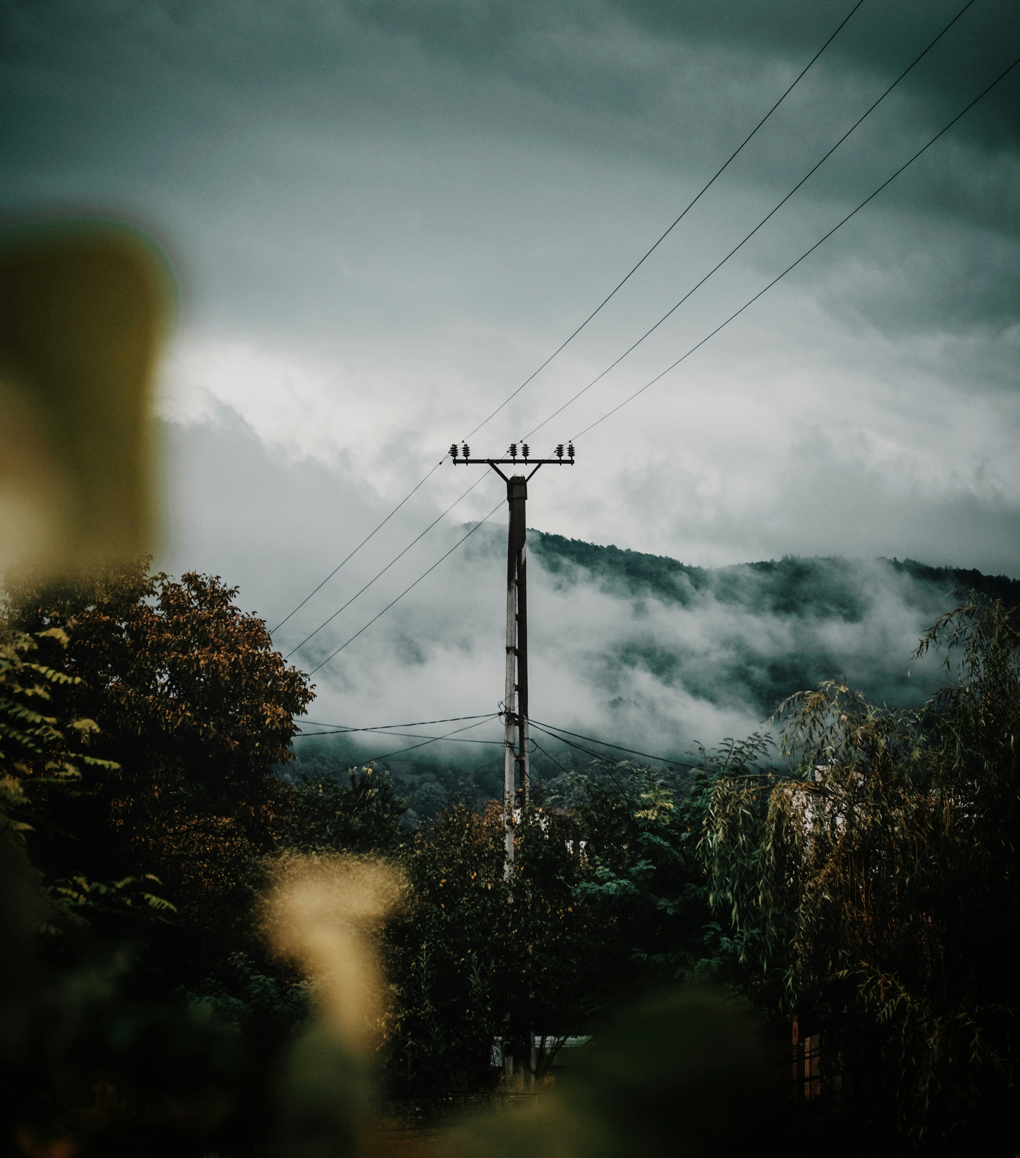 Mist-Touched Pole: Power Lines Crossing a Quiet Ridge