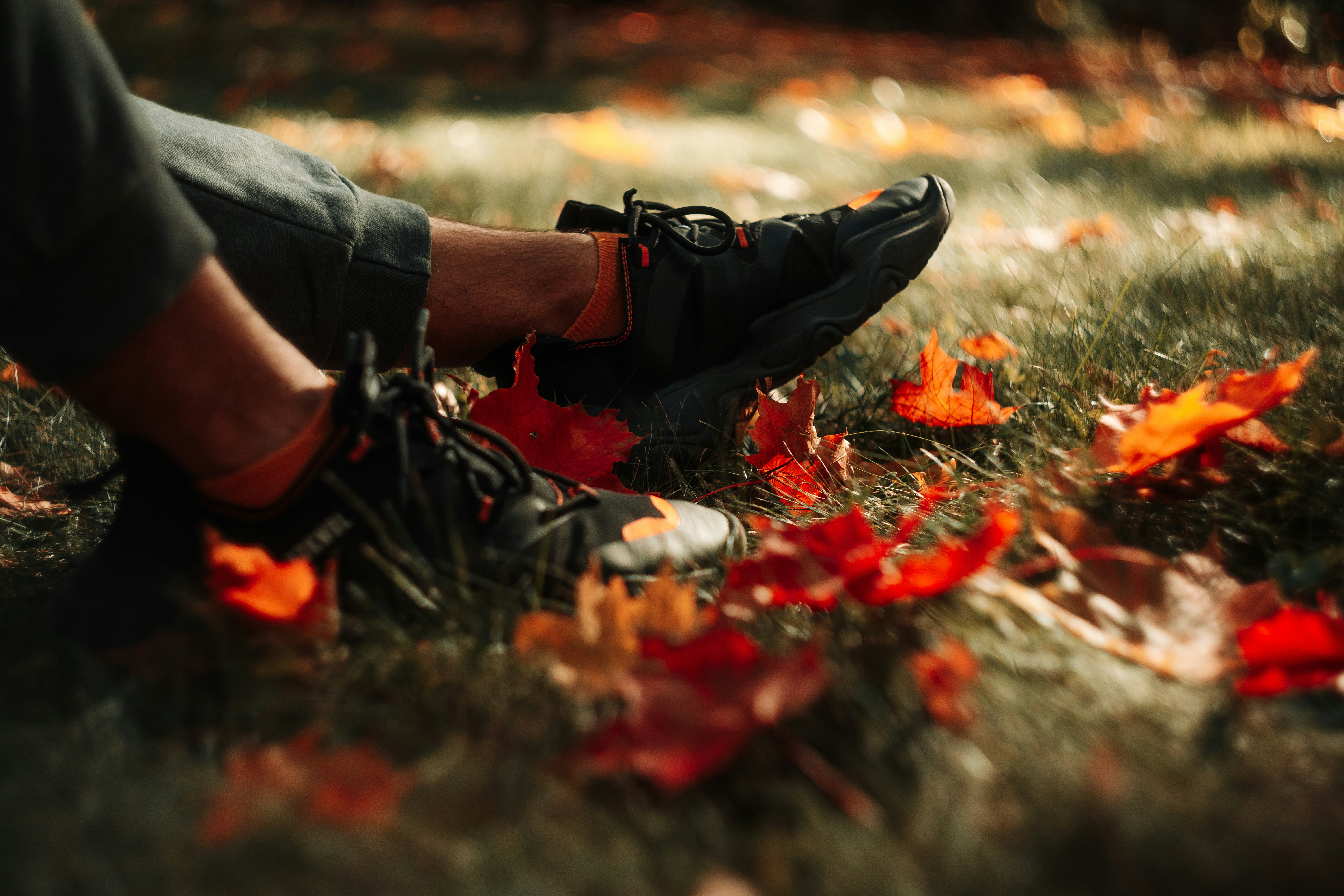 Autumn Footwear: Shoes Resting Among Crimson Leaves