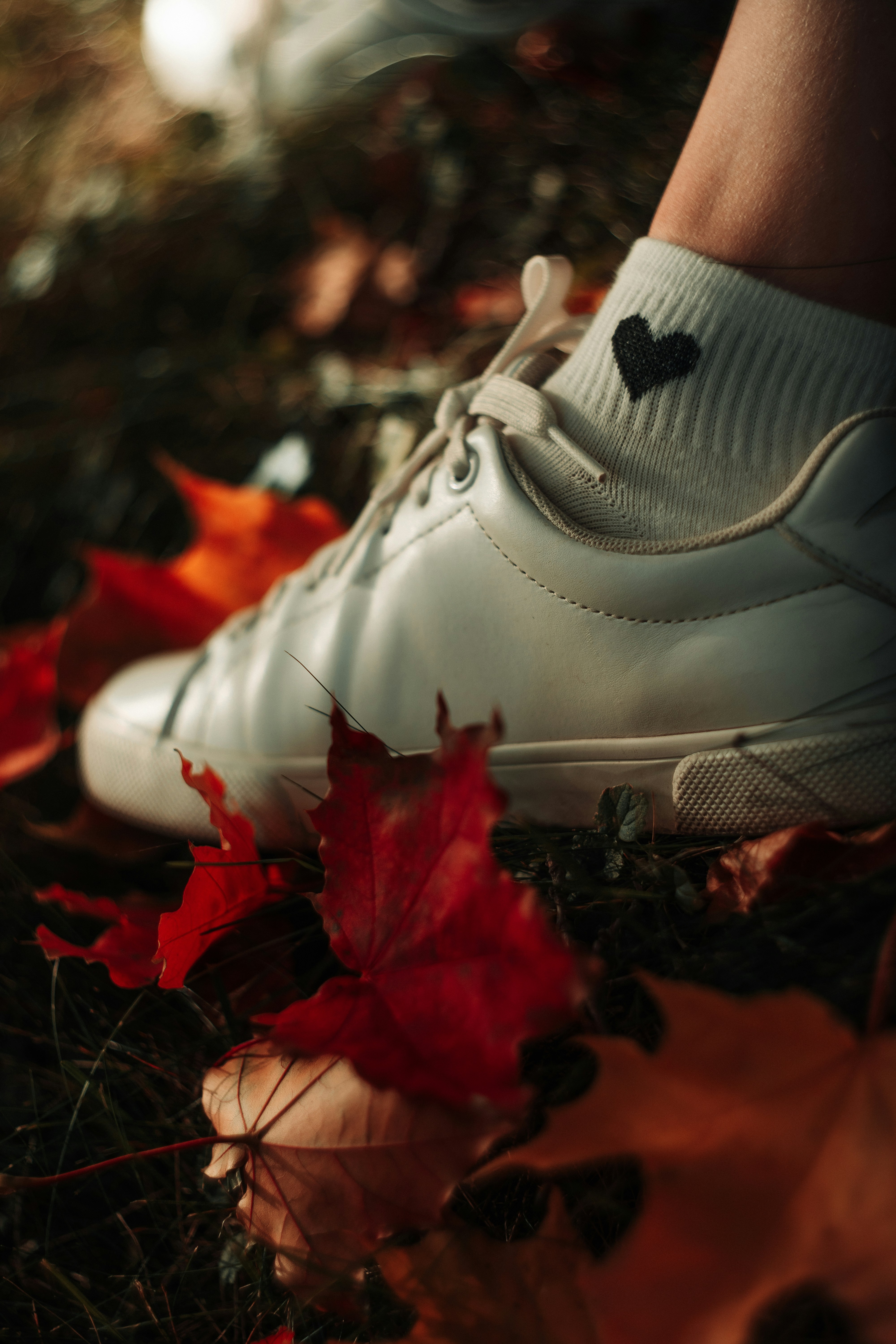 Autumn's Quiet Step: White Sneaker Amid Crimson Leaves