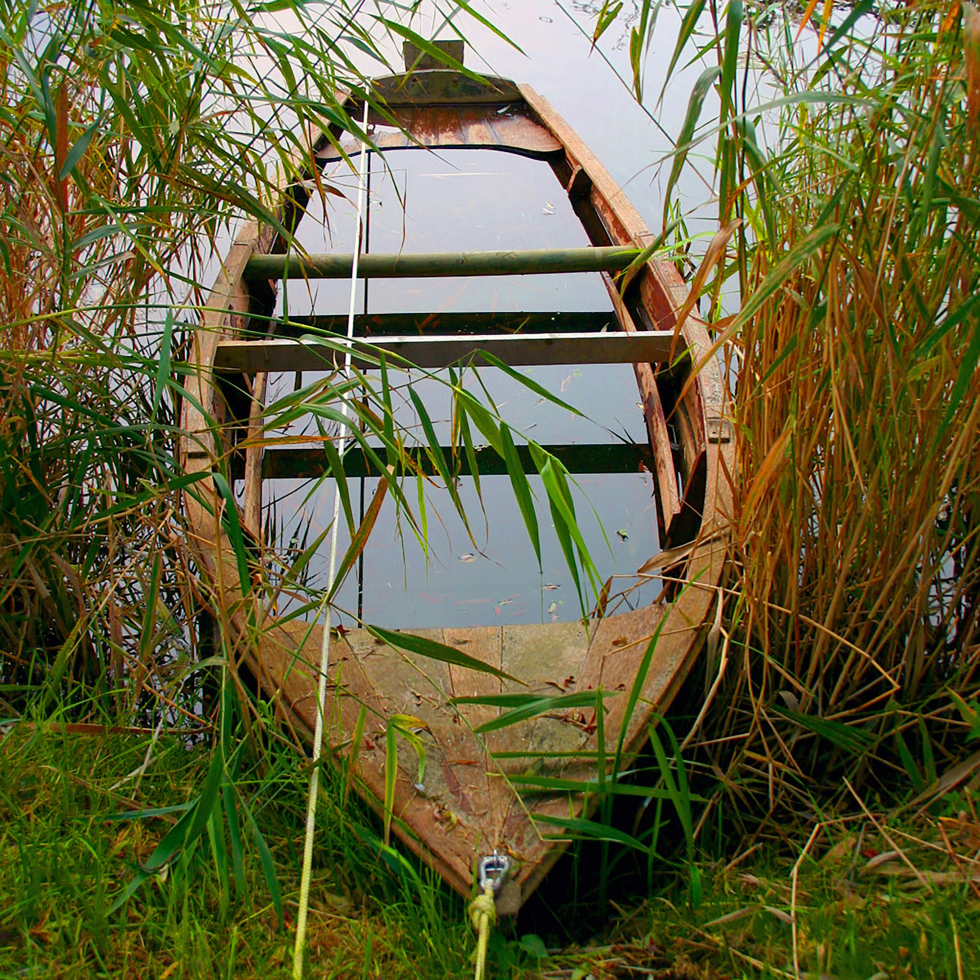 Abandoned wooden boat nestled among tall reeds by a tranquil waterway, reflecting the serene landscape. 