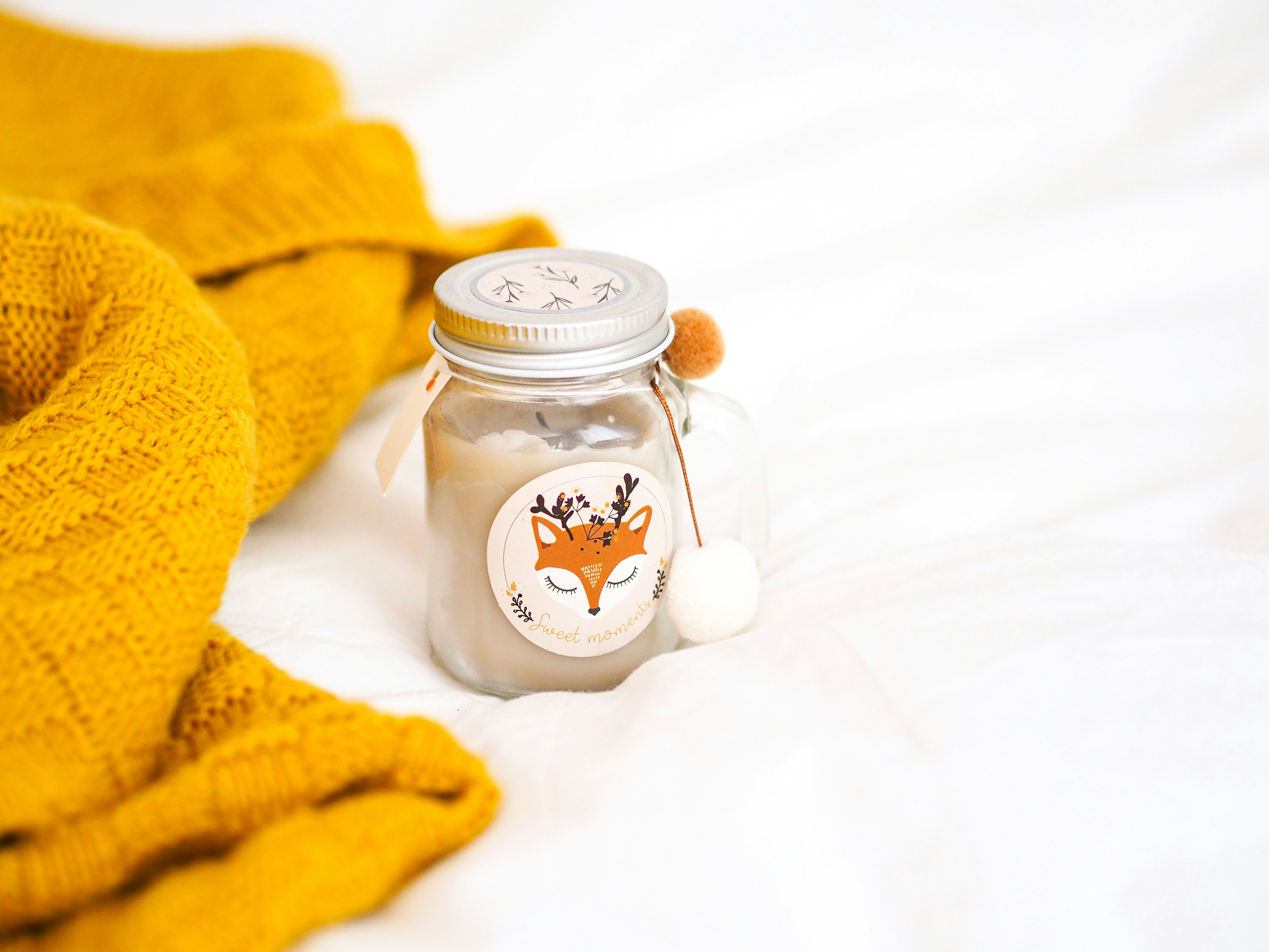 Fox on Glass: A Cozy Jar Scene Nestled by Mustard Knit