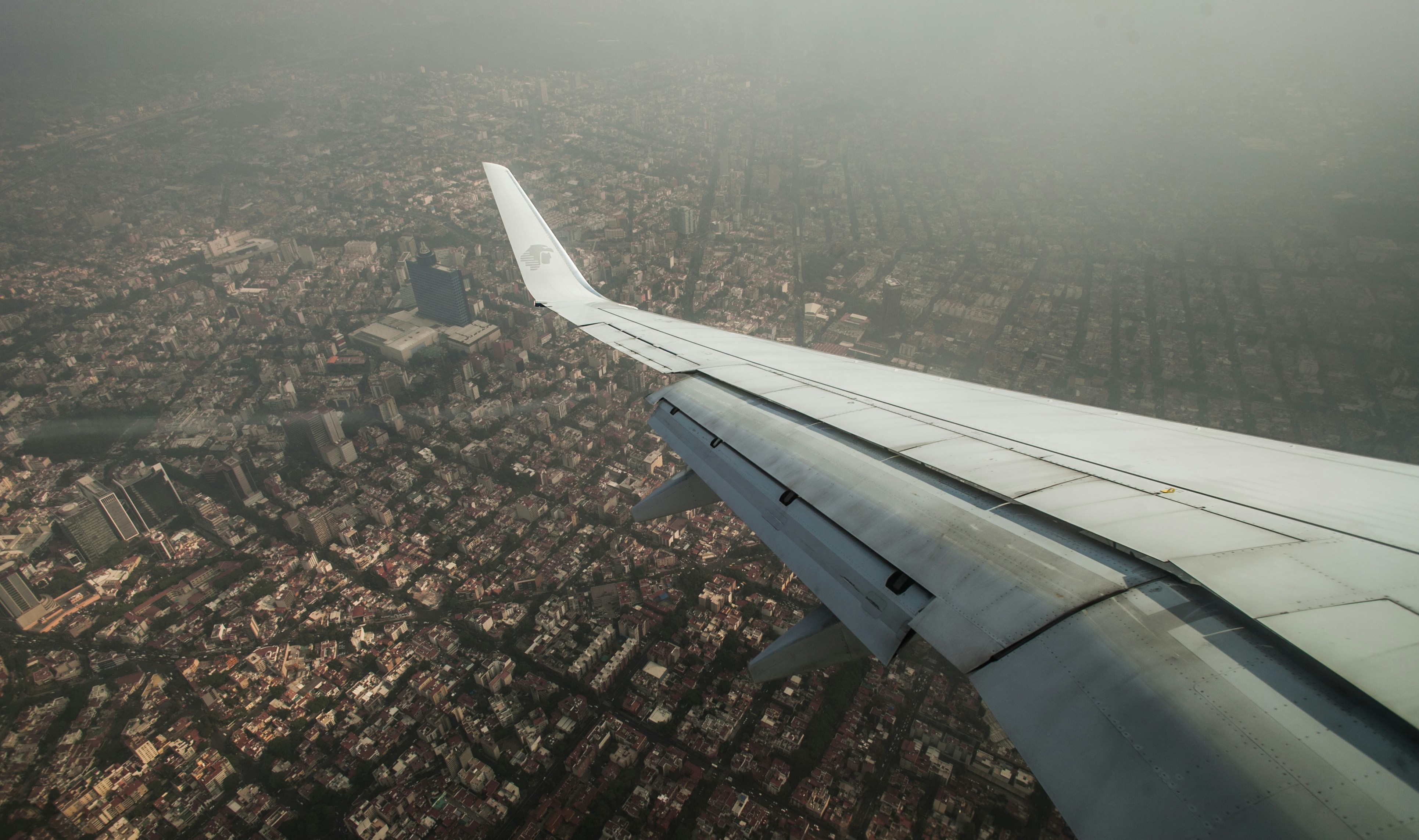 Wing Arc Over the City: A Quiet Flight Above the Grid
