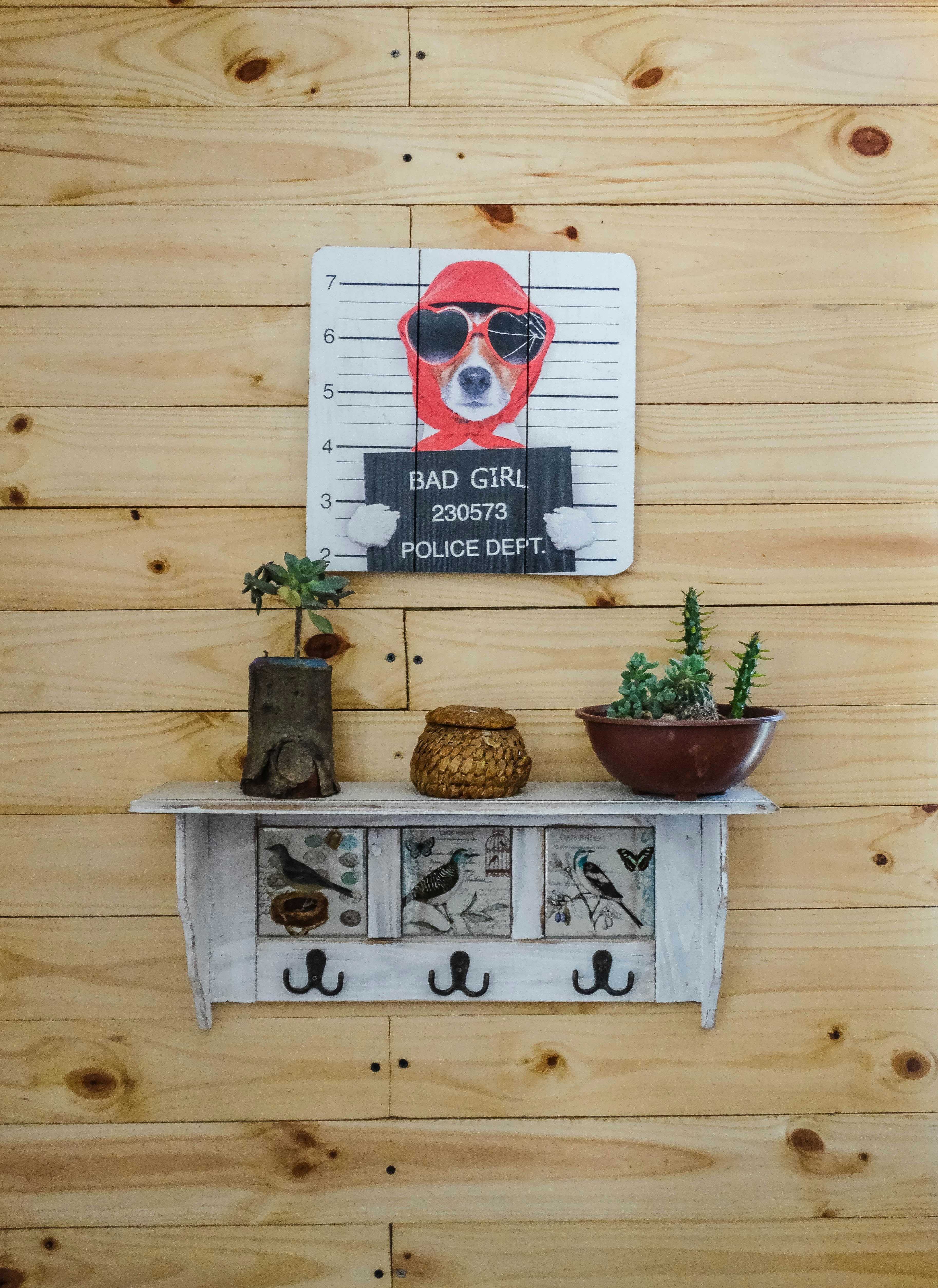 Decorative shelf with plants and a humorous dog illustration on a wooden wall.