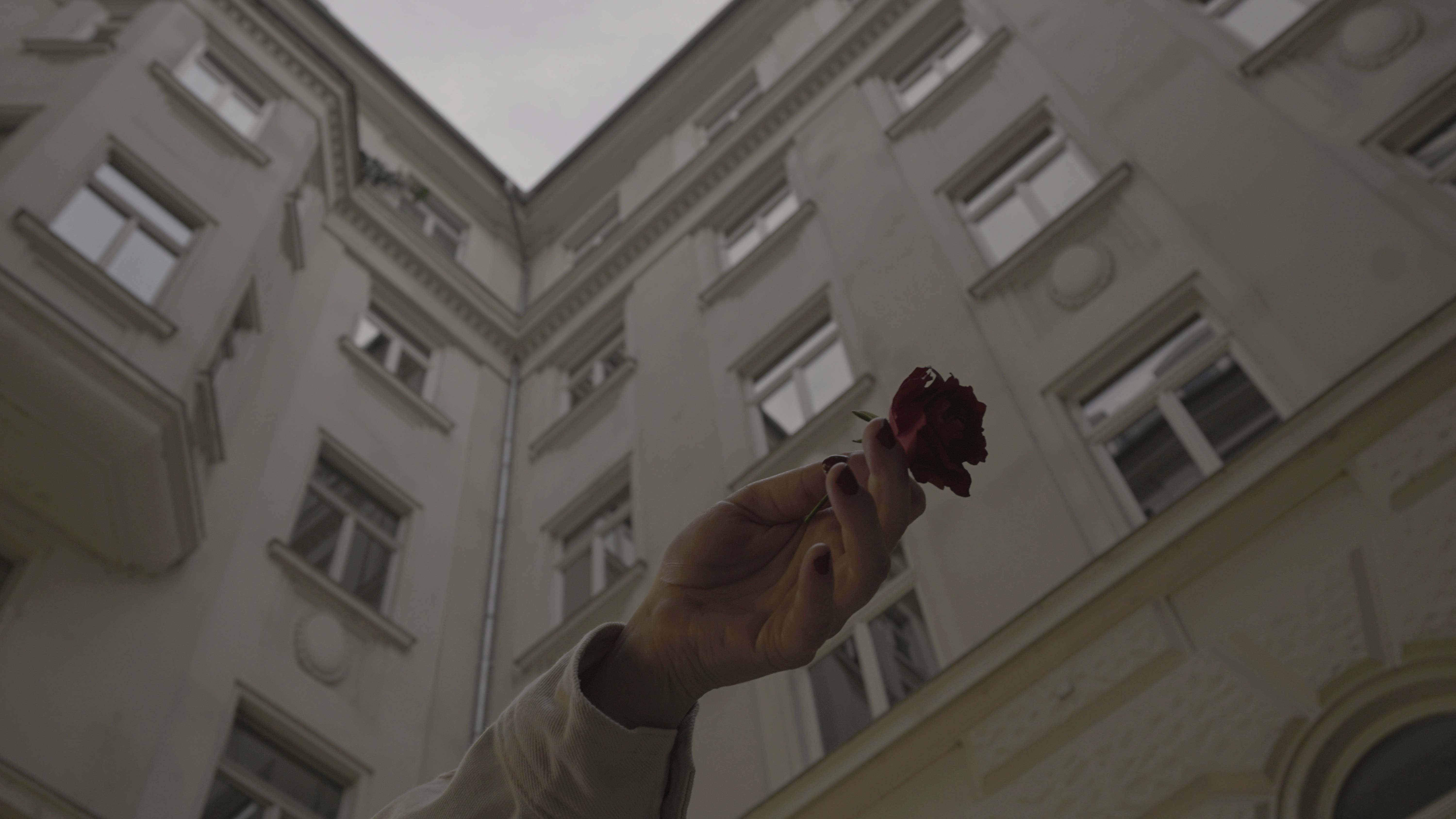 Hand holding a red rose against a backdrop of white-walled buildings and windows. The perspective emphasizes the height of the surrounding architecture.