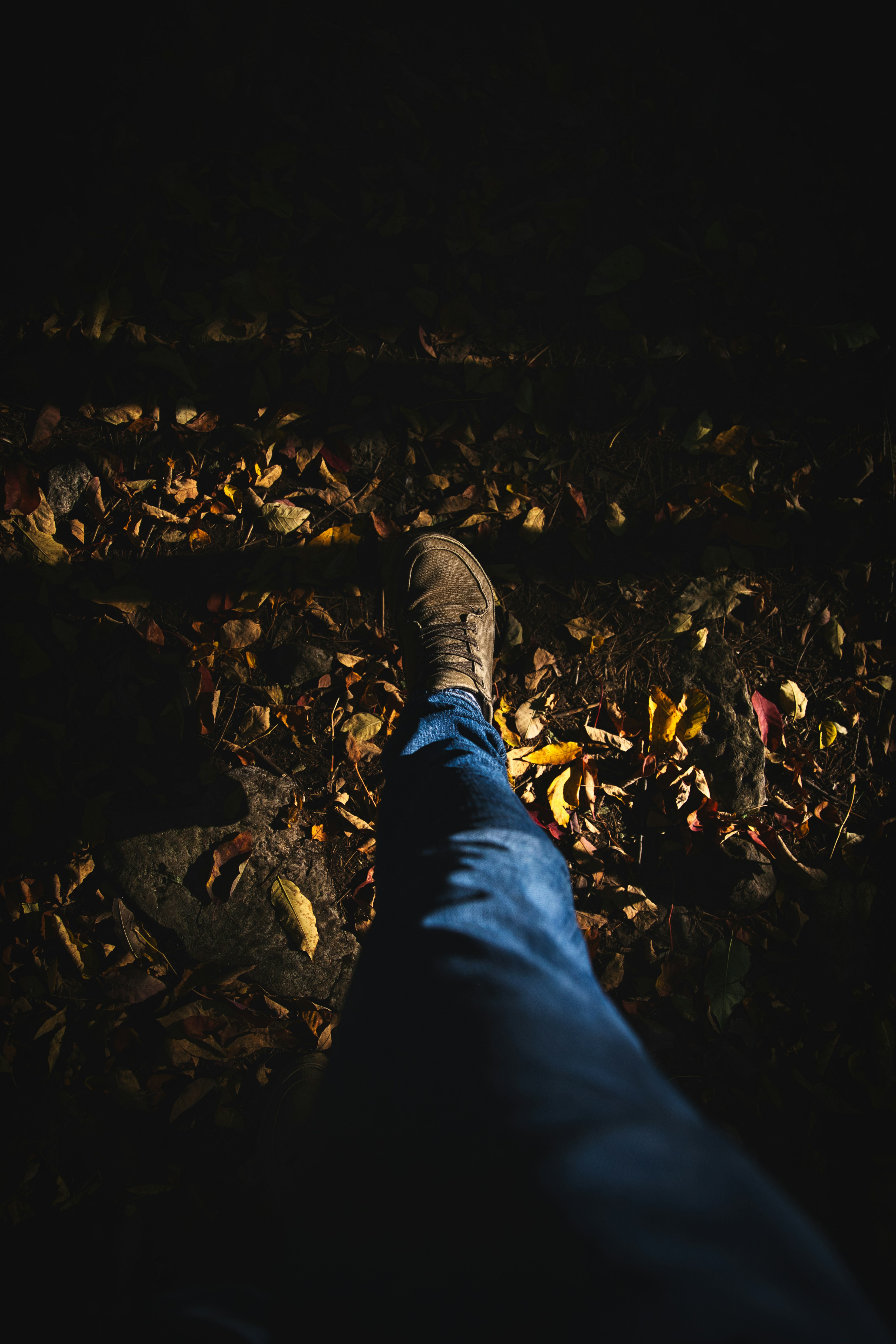 A single foot clad in a brown shoe rests on a bed of colorful autumn leaves. Shadows create a dramatic interplay of light and dark.