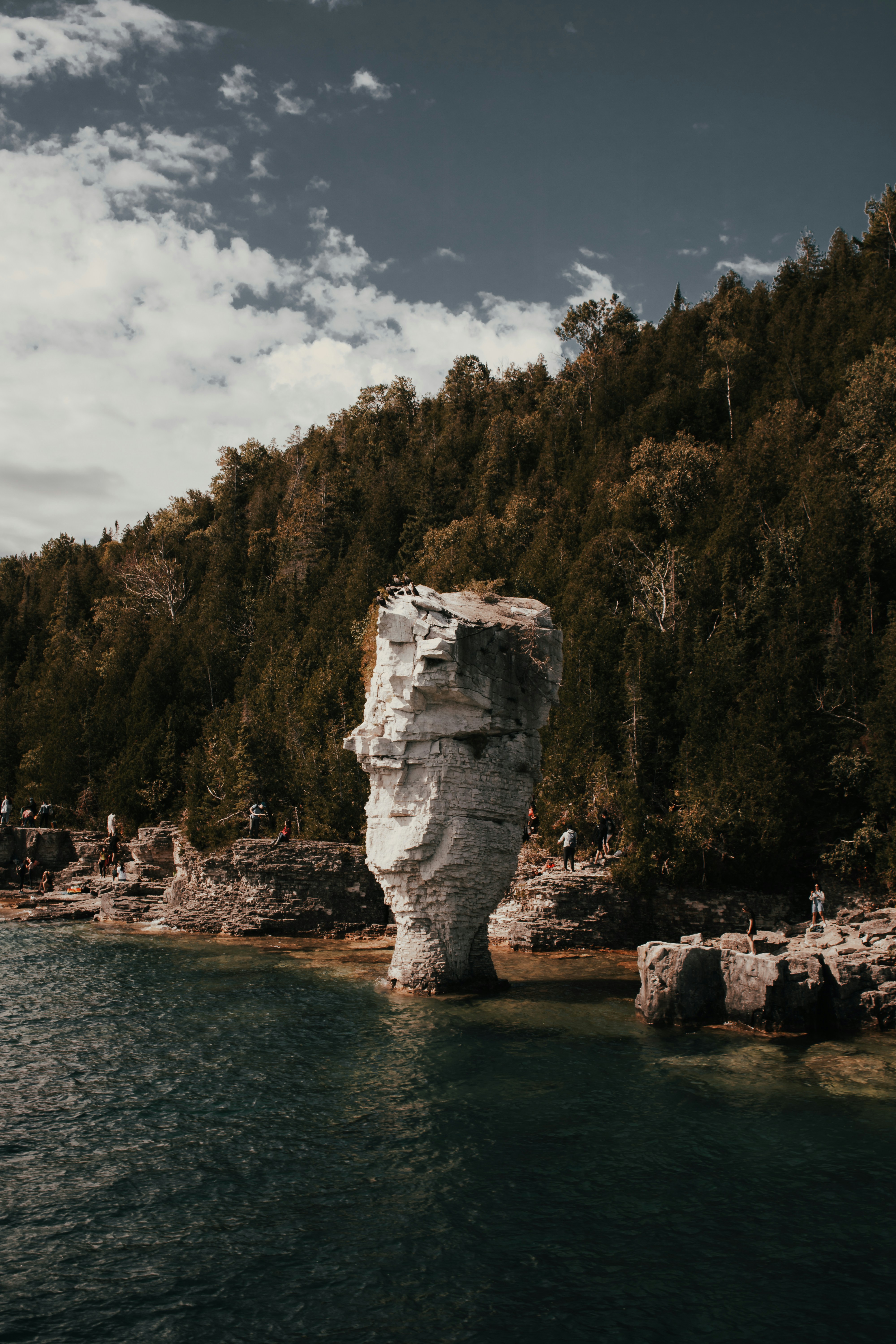 Flowepot Fotos | Baixe imagens gratuitas na Unsplash