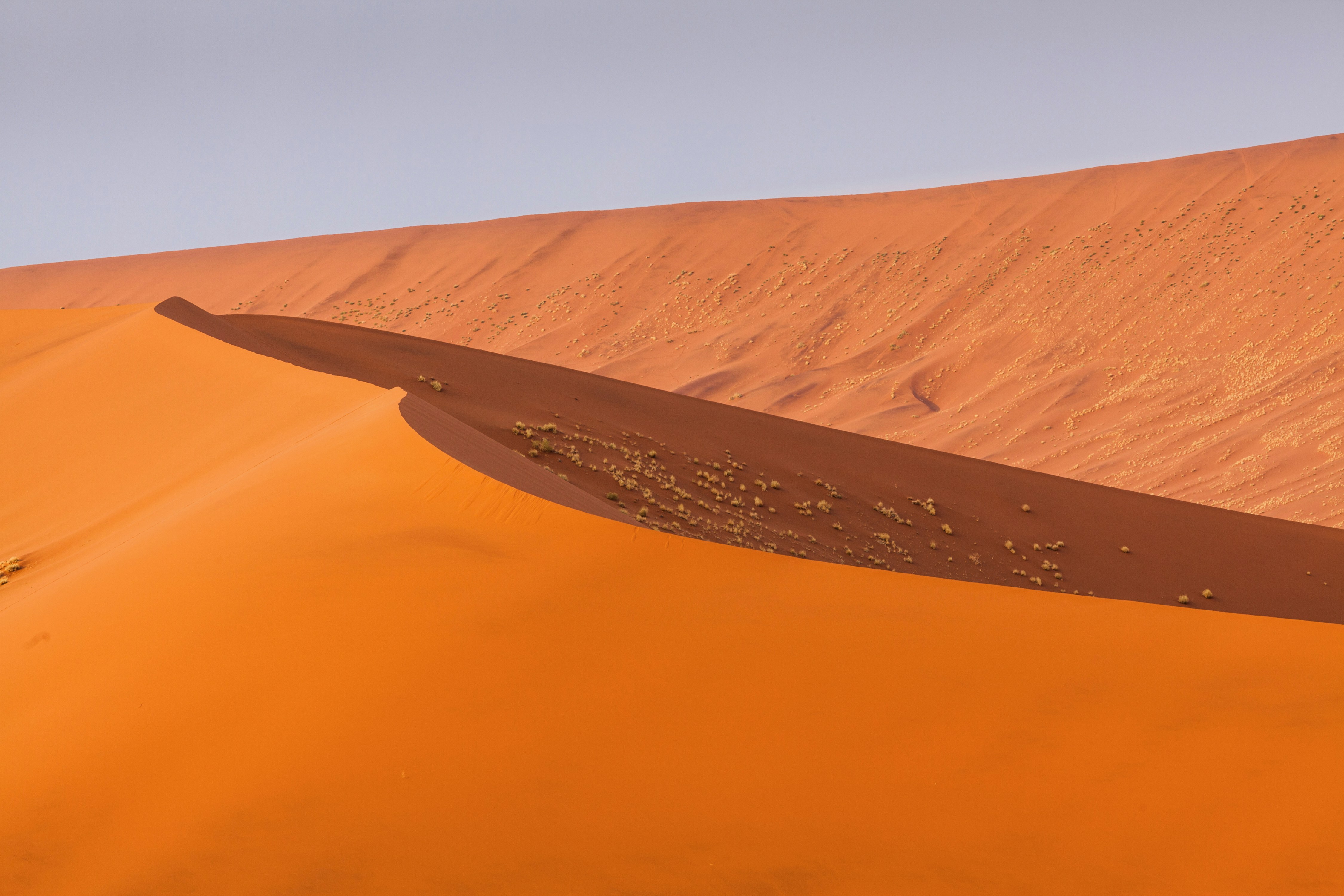 Golden Serenity of Desert Dunes