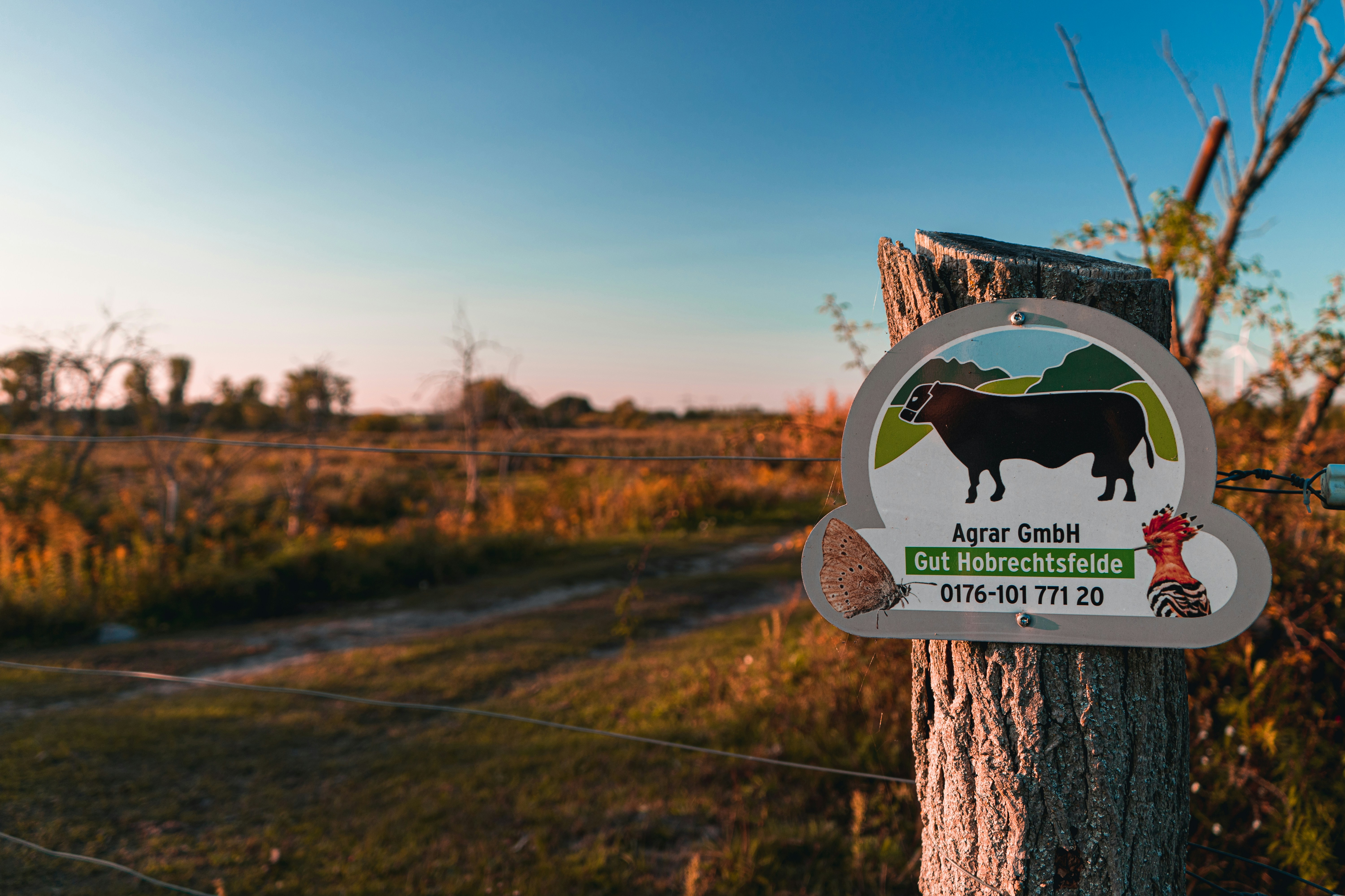 White and brown wooden signage photo – Free Nature Image on Unsplash