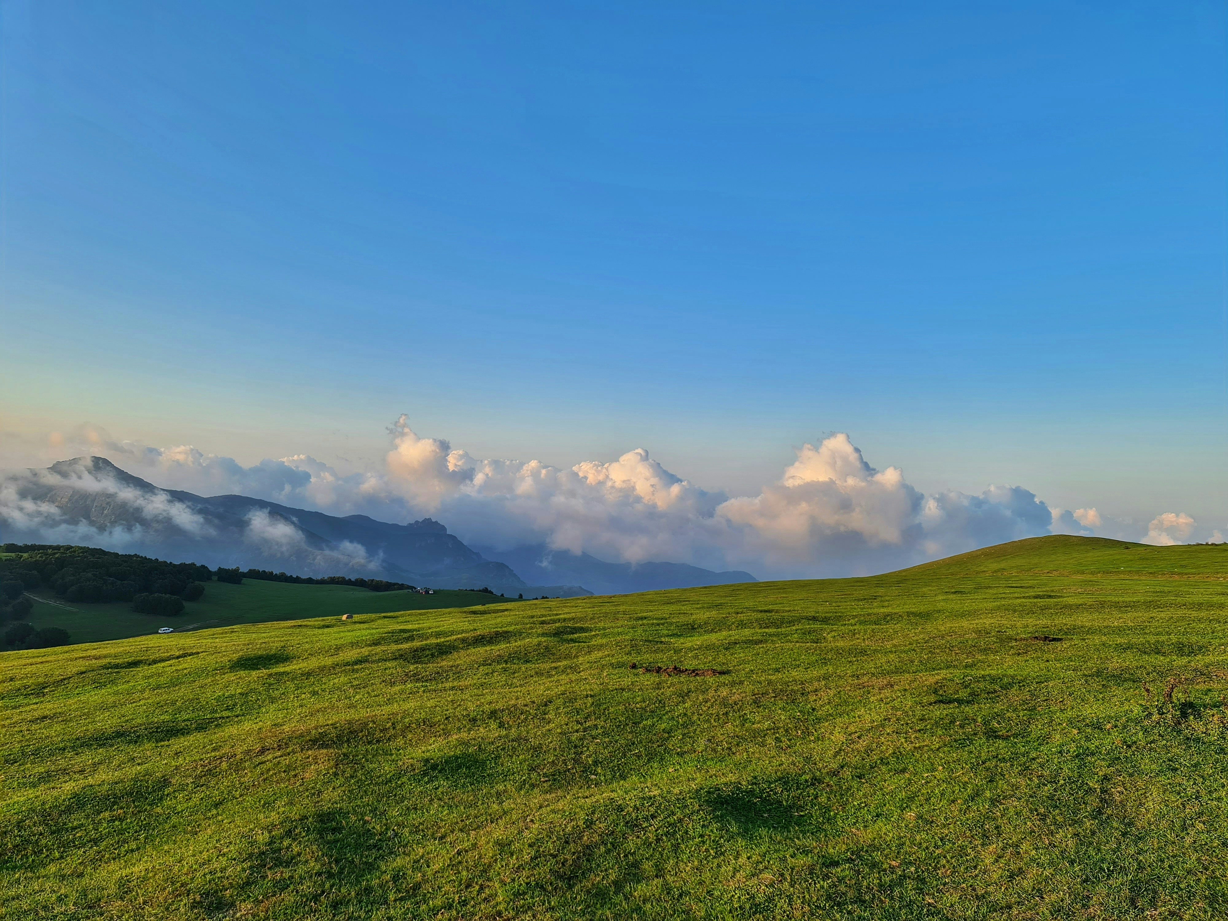 Green grass field under blue sky during daytime photo – Free Iran Image ...