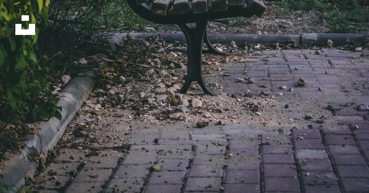 녹색 잎 식물 근처 갈색 나무 벤치 사진 Unsplash의 무료 식물 이미지