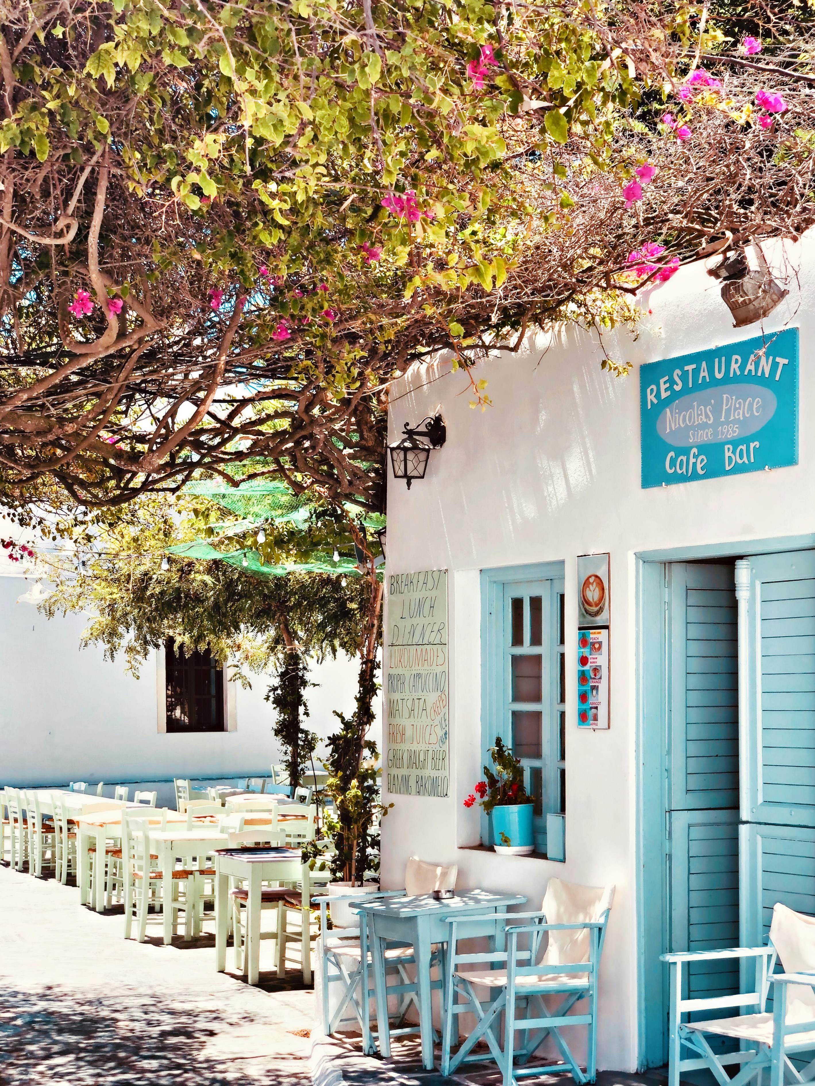Quaint café with pastel furniture nestled under a flowering tree, inviting patrons to enjoy the serene atmosphere. A sign above indicates the establishment's name and offerings.